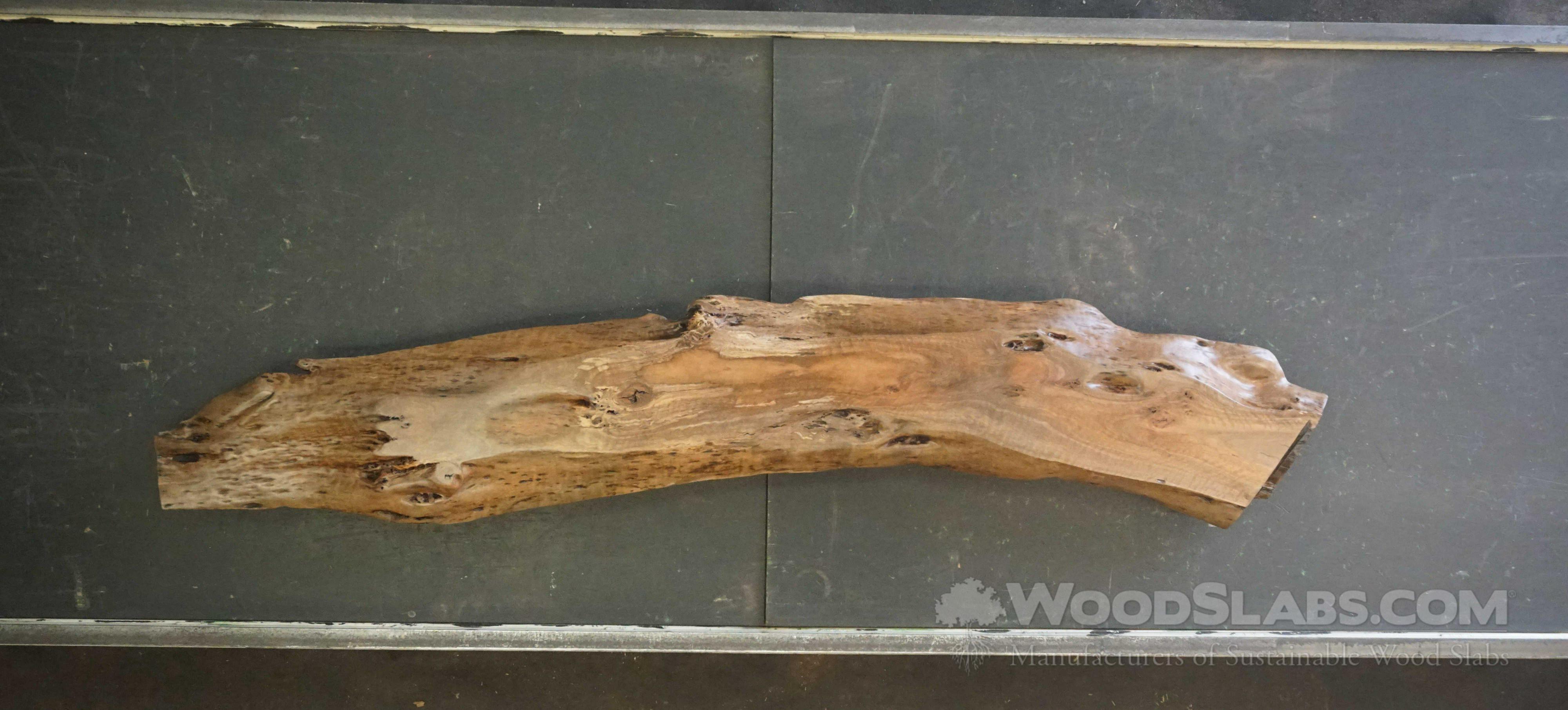 WoodSlabs.com - 3" to 6"