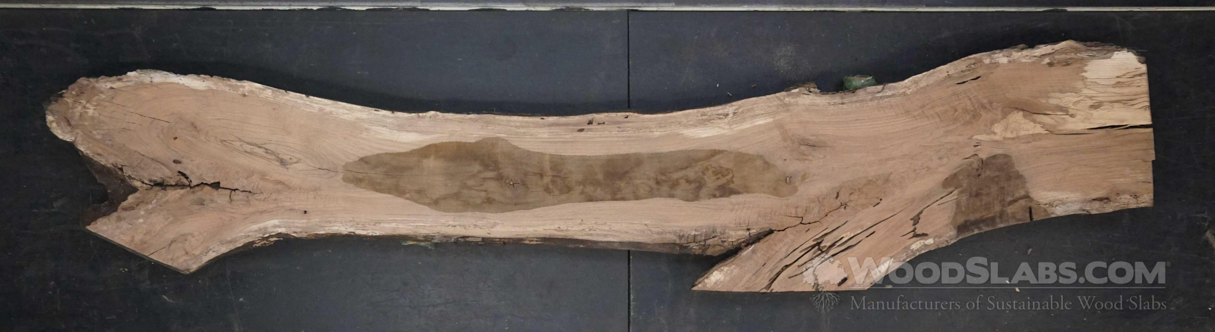 WoodSlabs.com - Laurel Oak