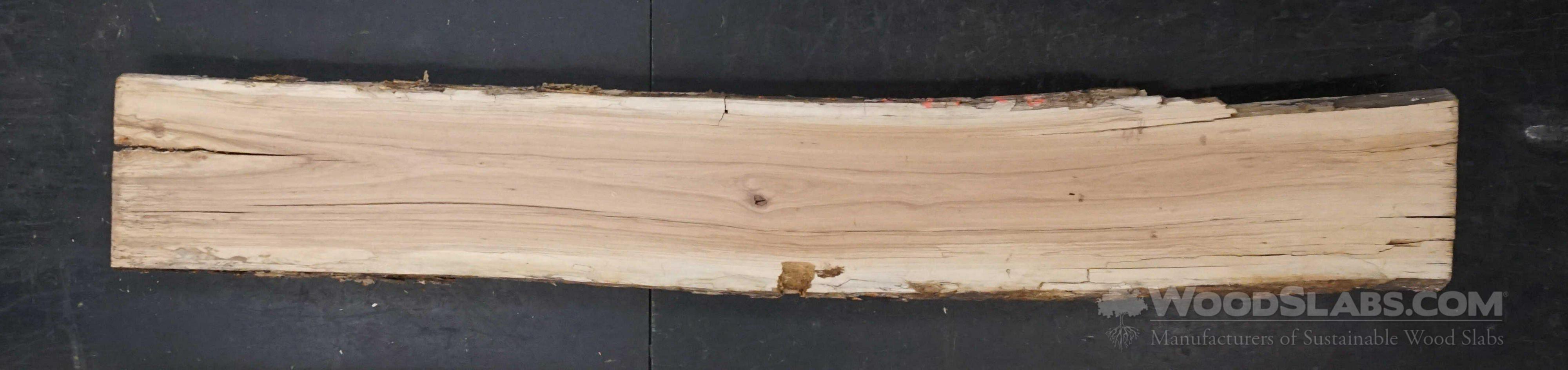 WoodSlabs.com - Pecan