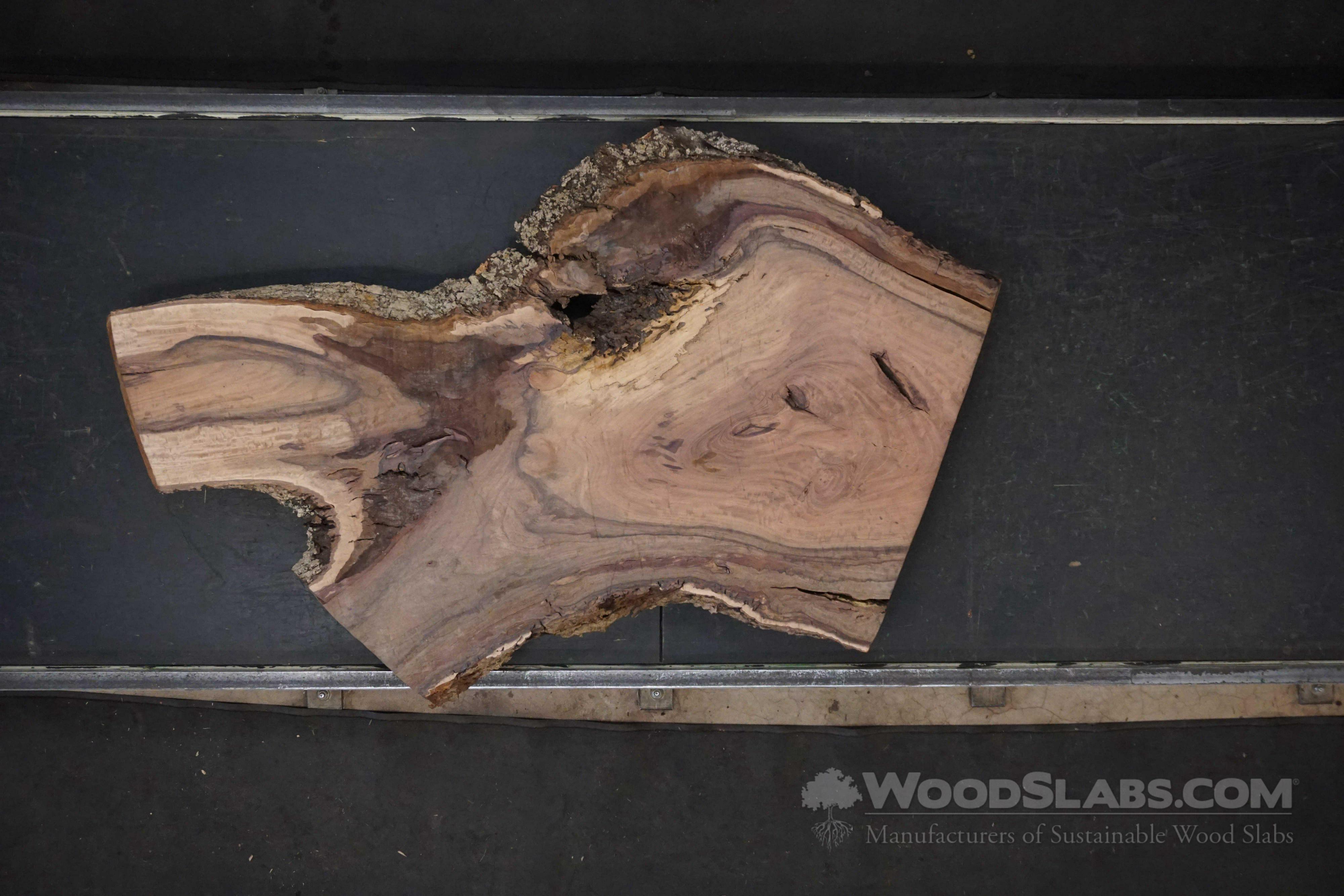 WoodSlabs.com - Hickory