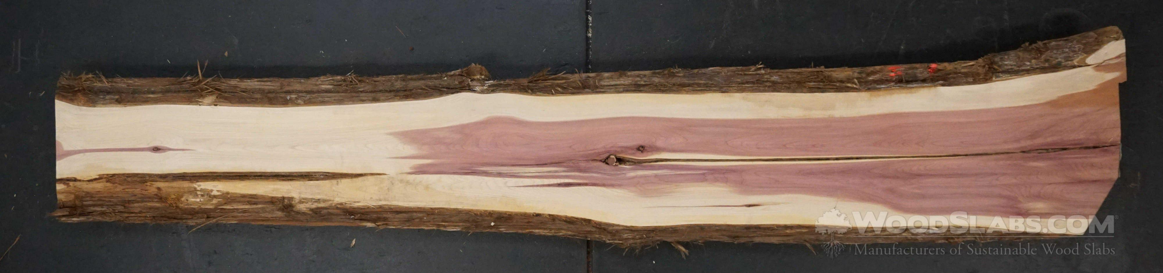 WoodSlabs.com - Aromatic Cedar