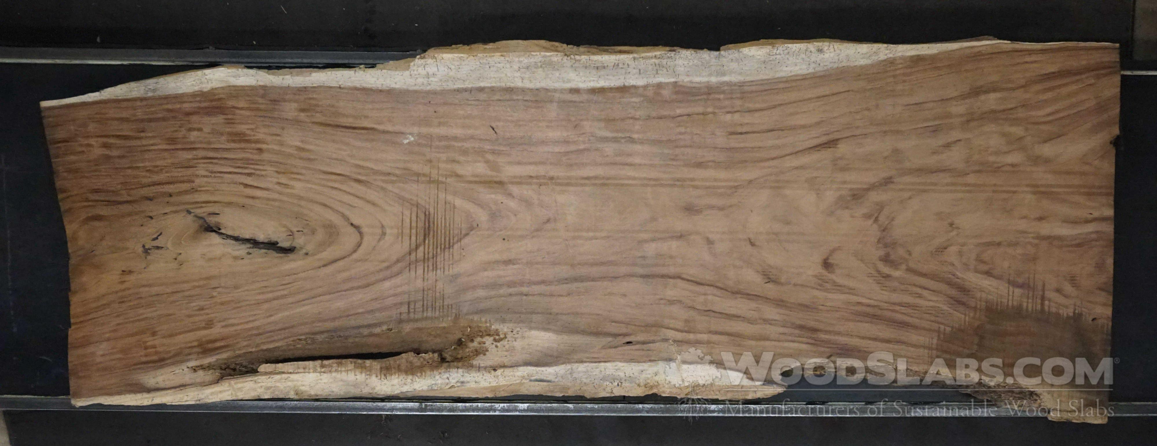 WoodSlabs.com - All Wood Slabs