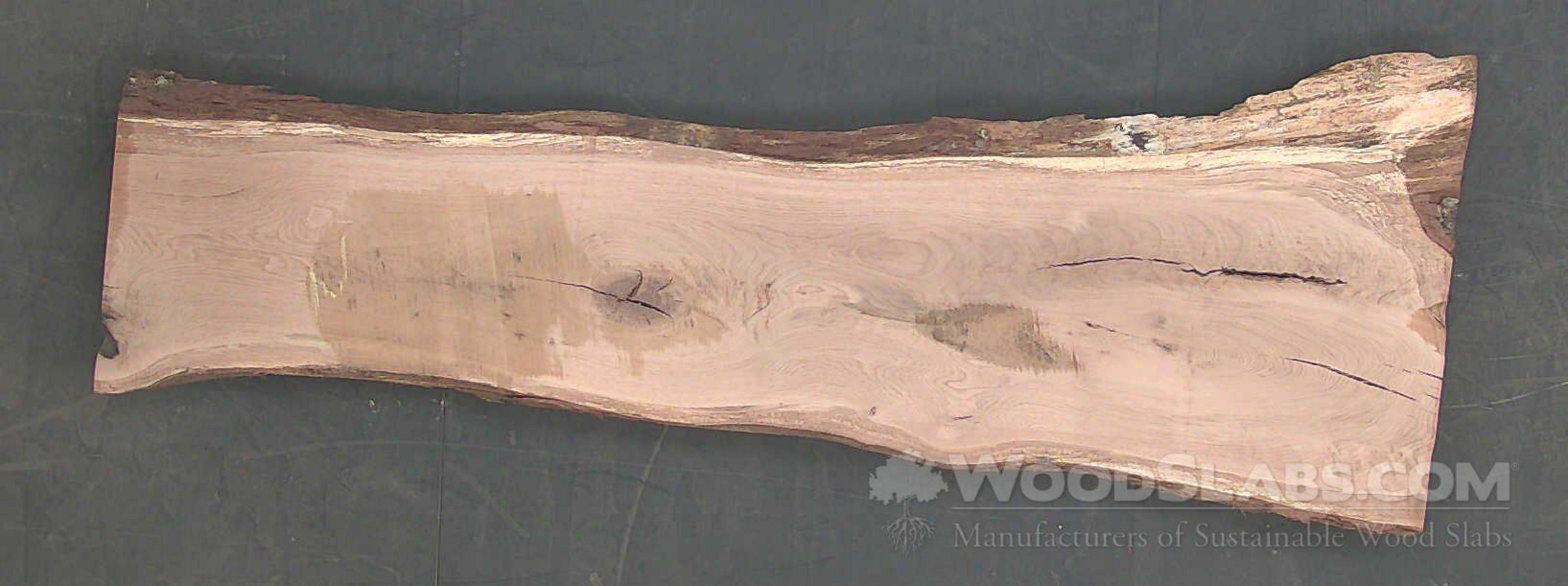WoodSlabs.com - White Oak