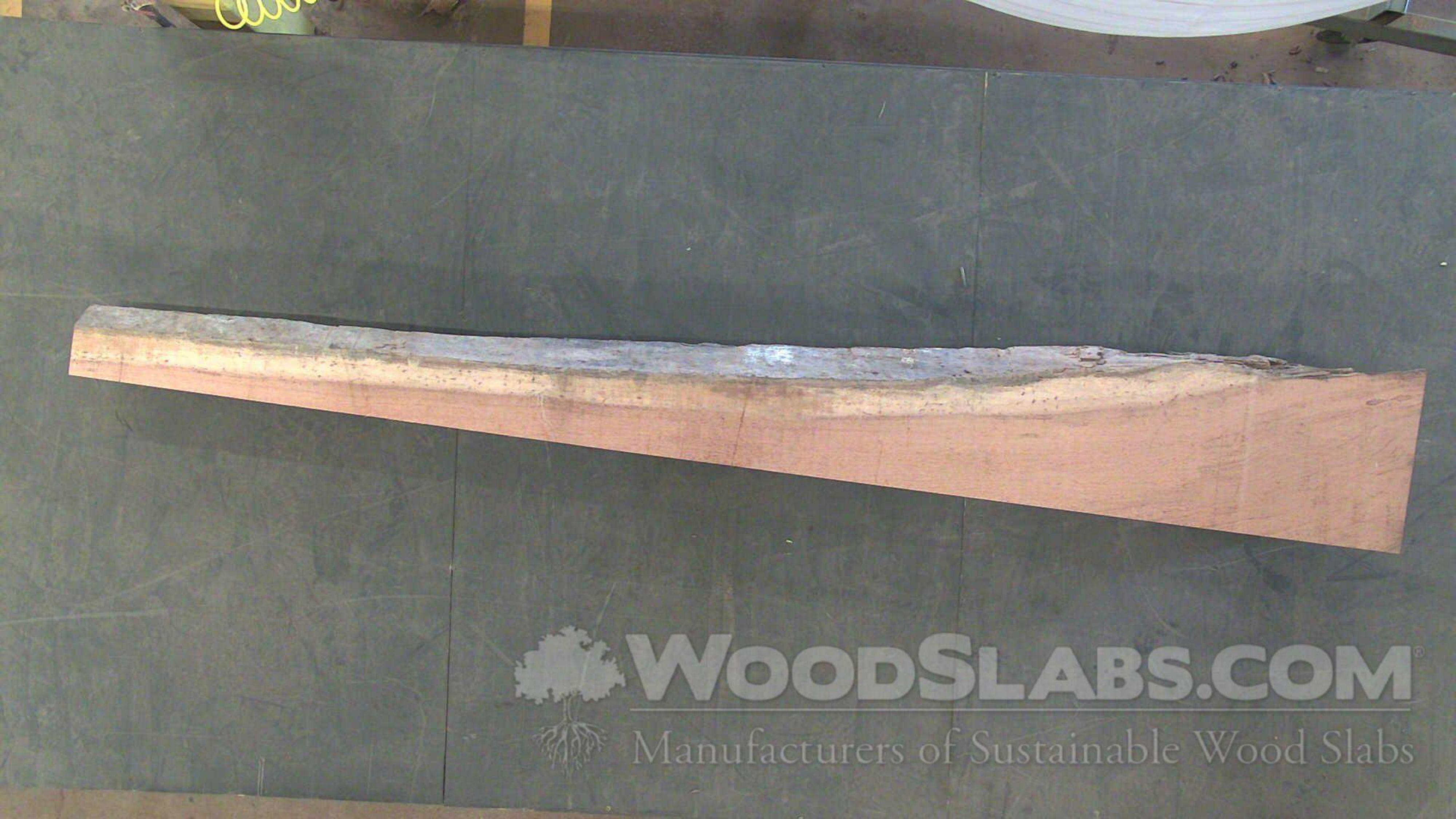 WoodSlabs.com - 3" to 6"