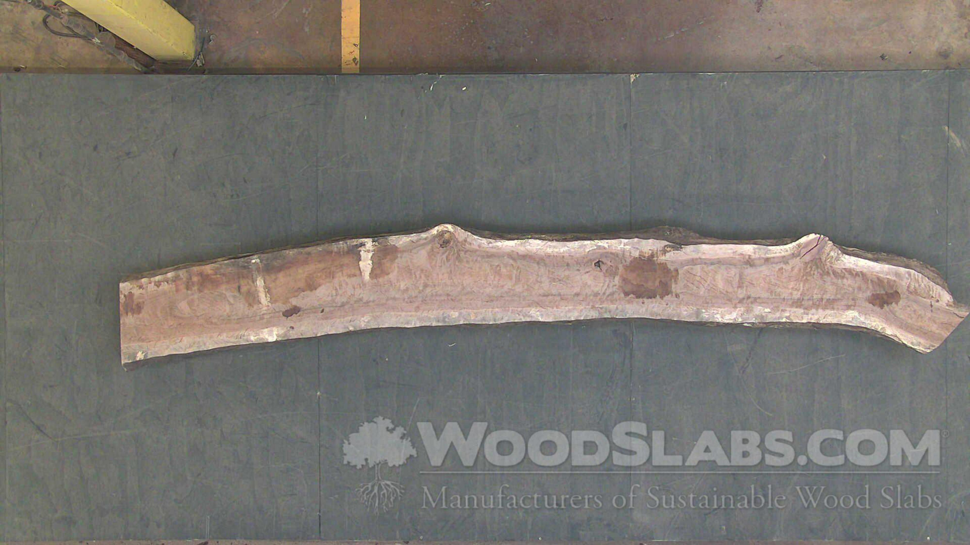 WoodSlabs.com - Miscellaneous Rare Slabs