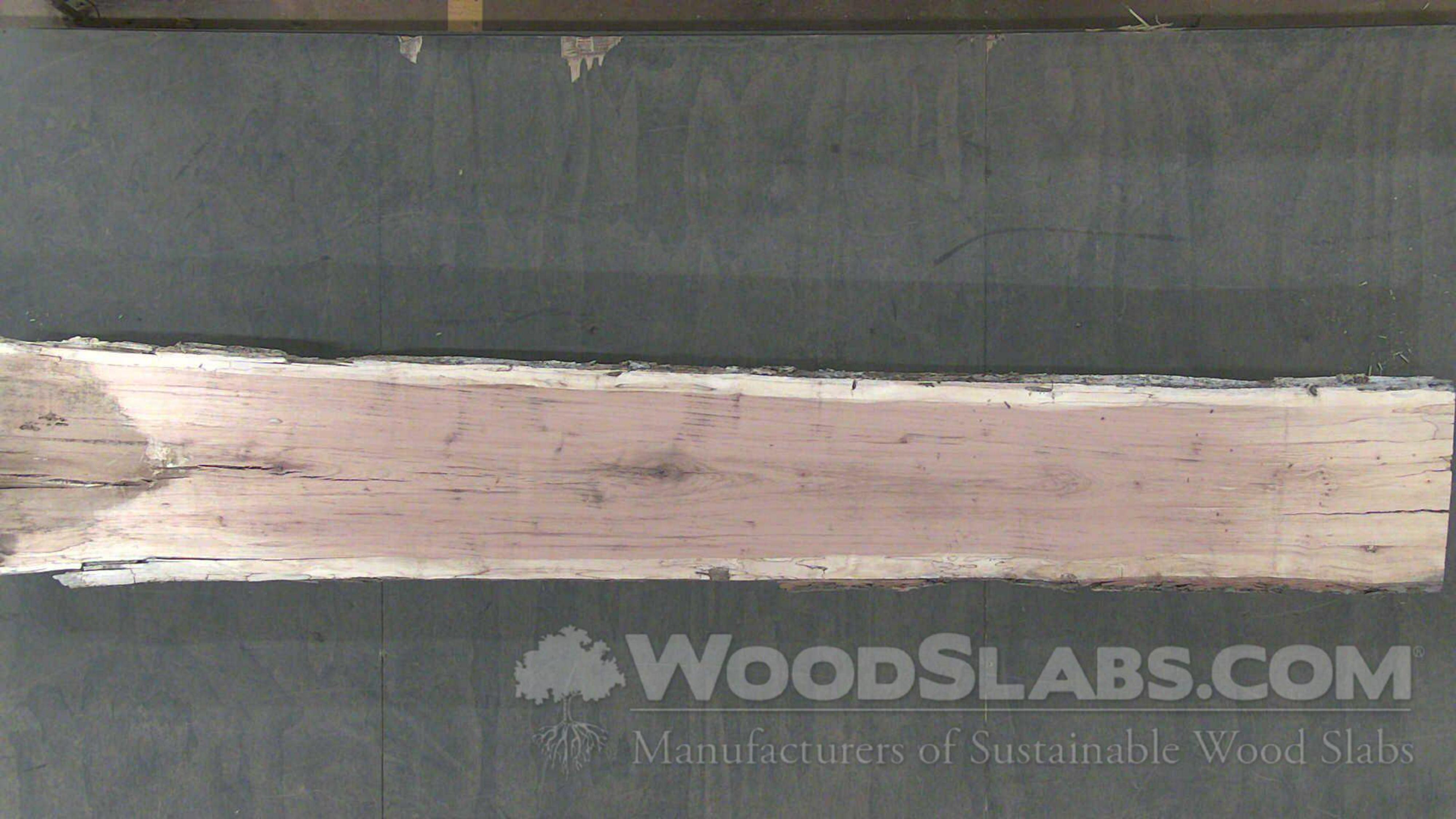 WoodSlabs.com - Pecan