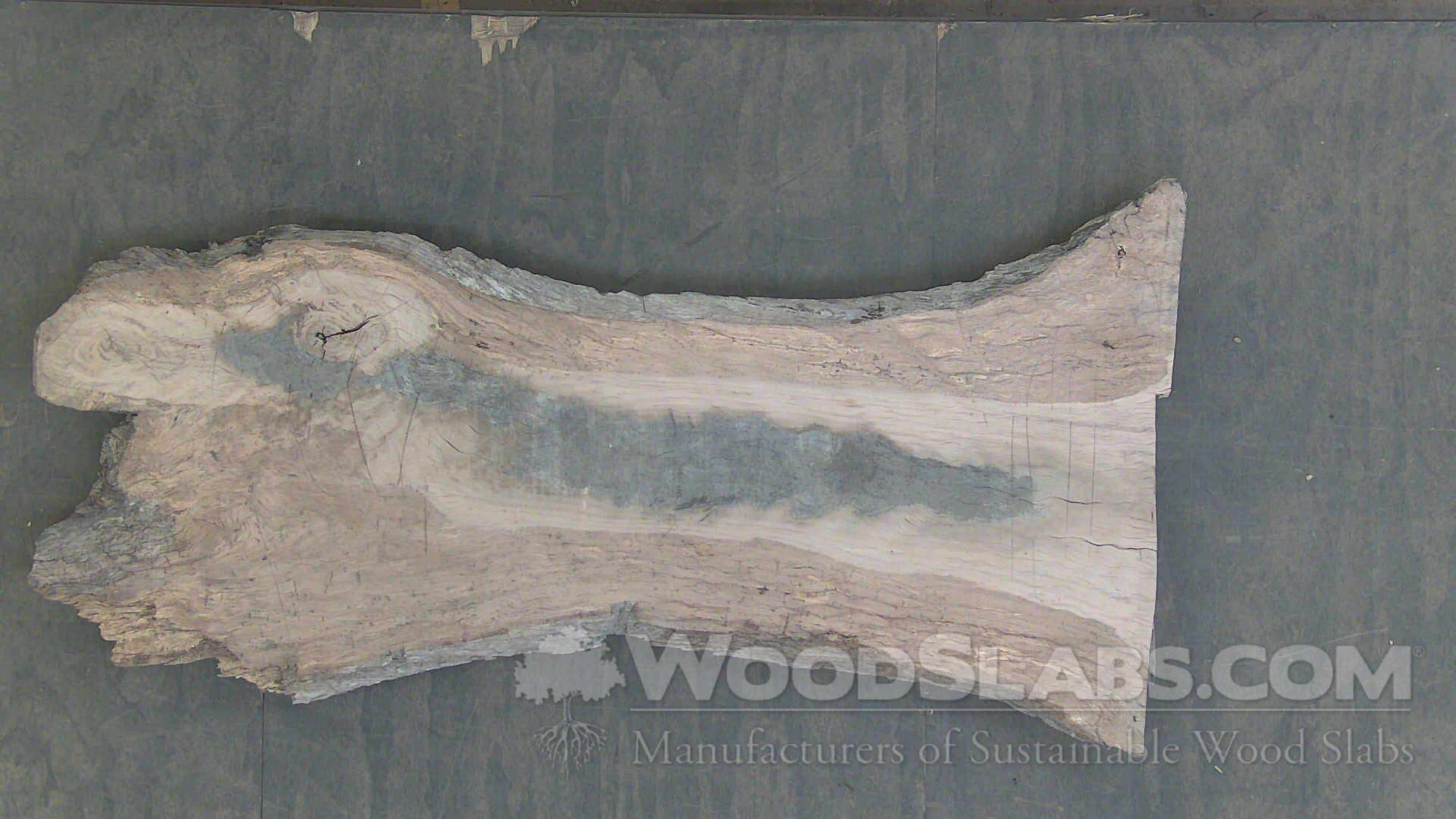 Live Oak Wood Slabs