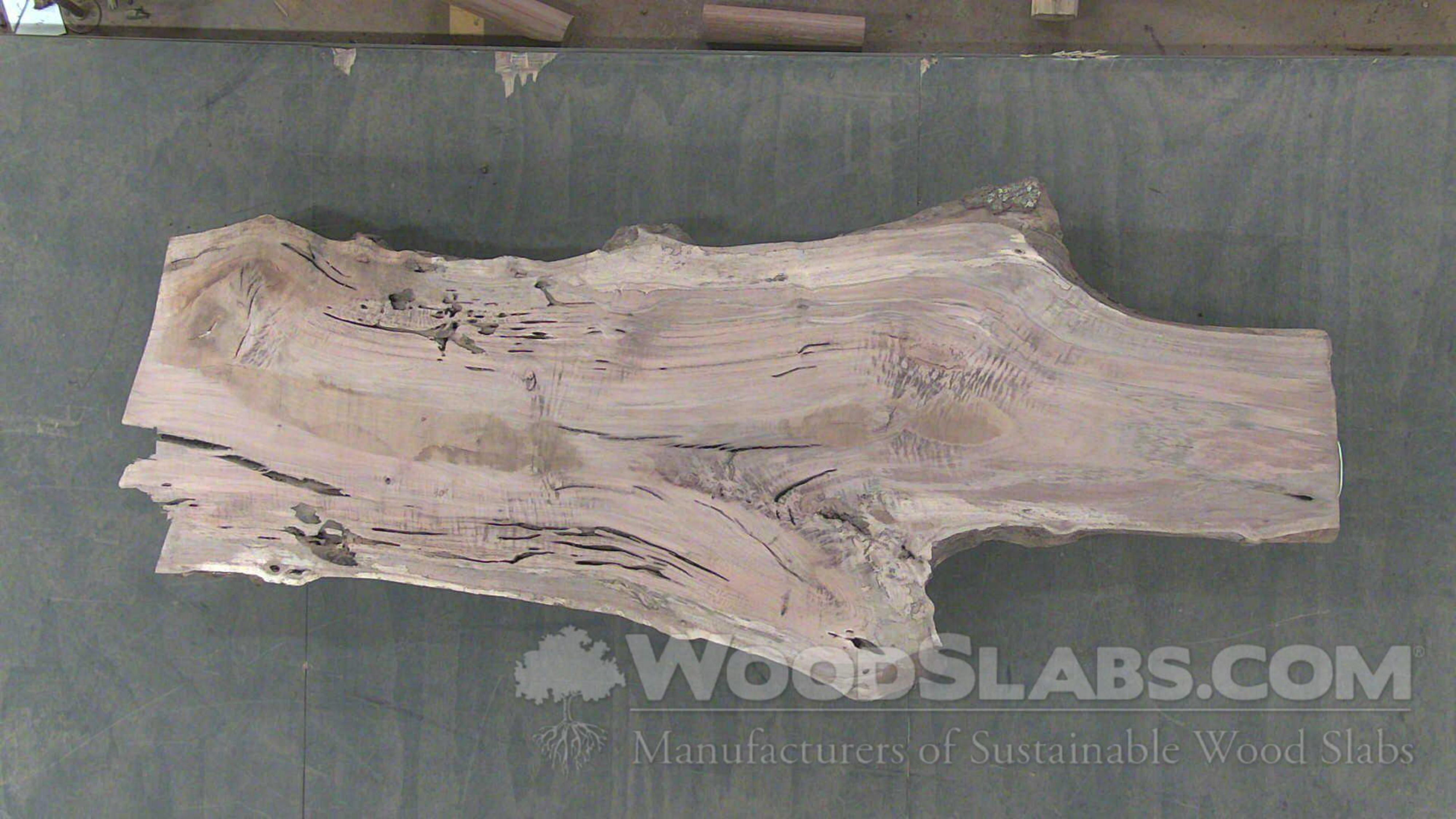 WoodSlabs.com - Laurel Oak