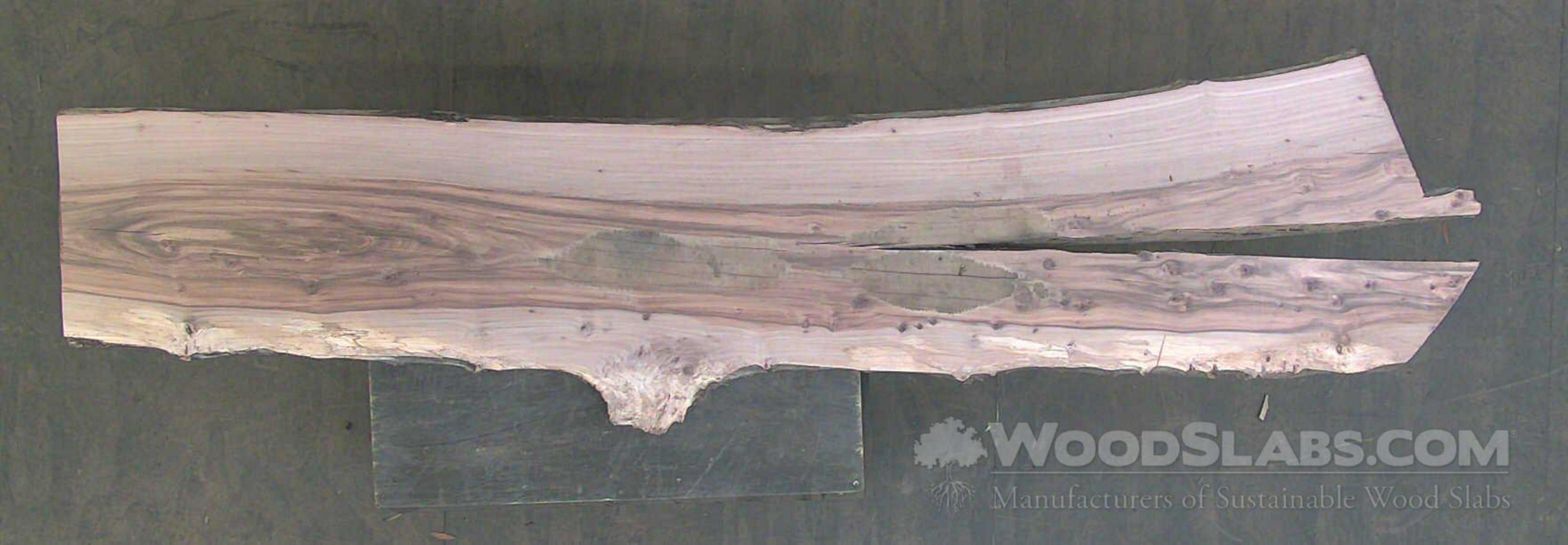 WoodSlabs.com - Australian Beefwood