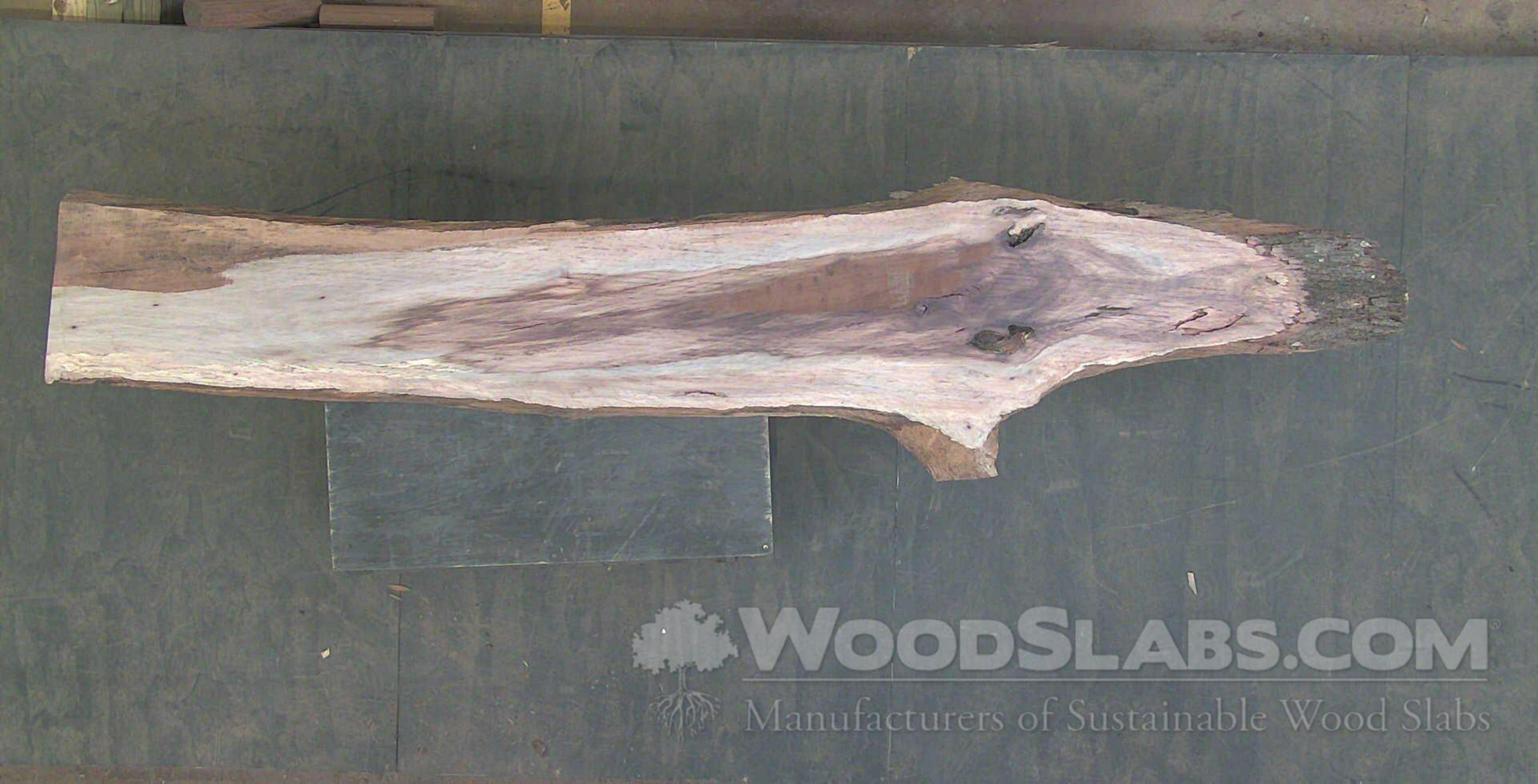 WoodSlabs.com - Australian Beefwood