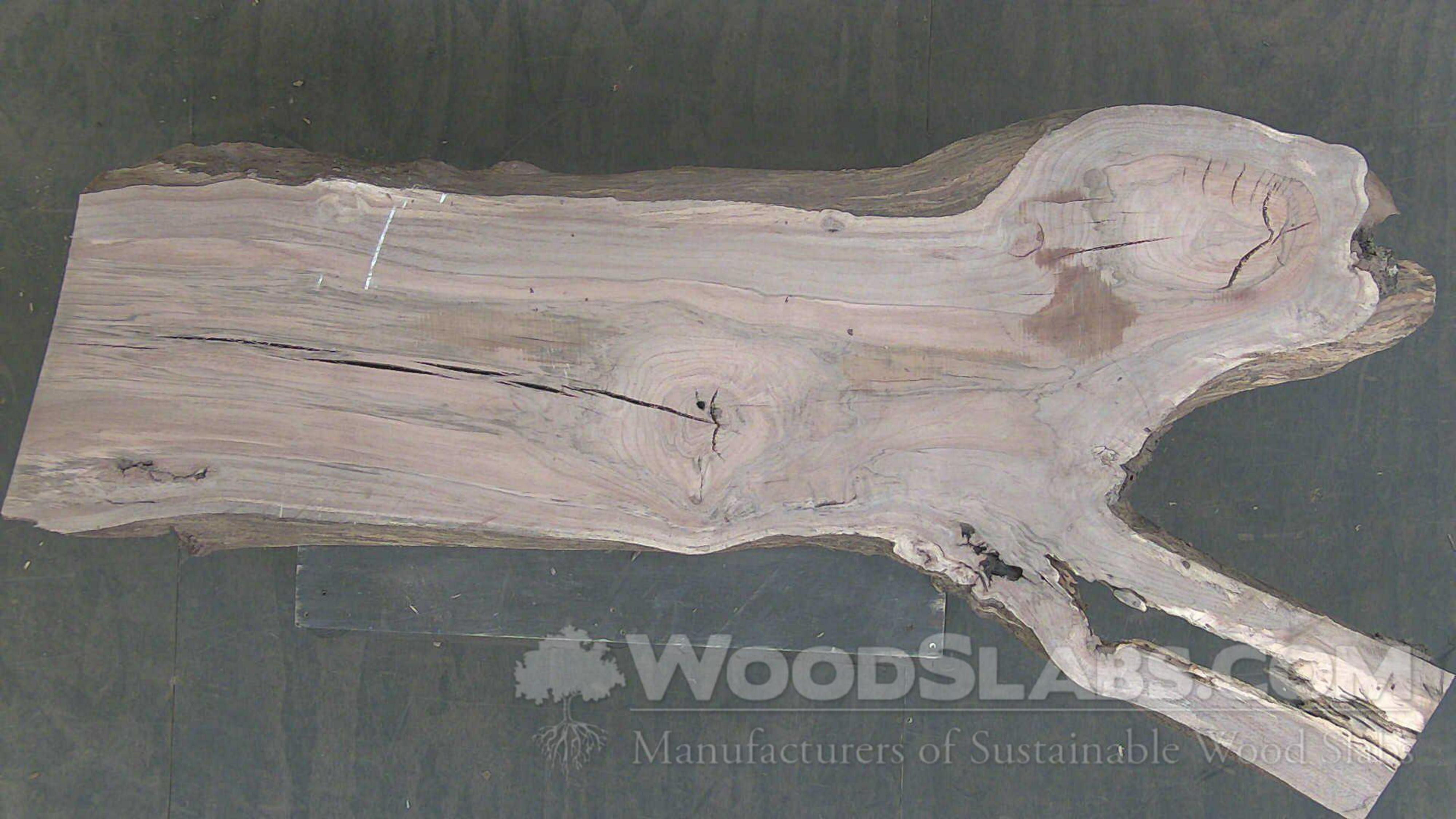 WoodSlabs.com - Laurel Oak