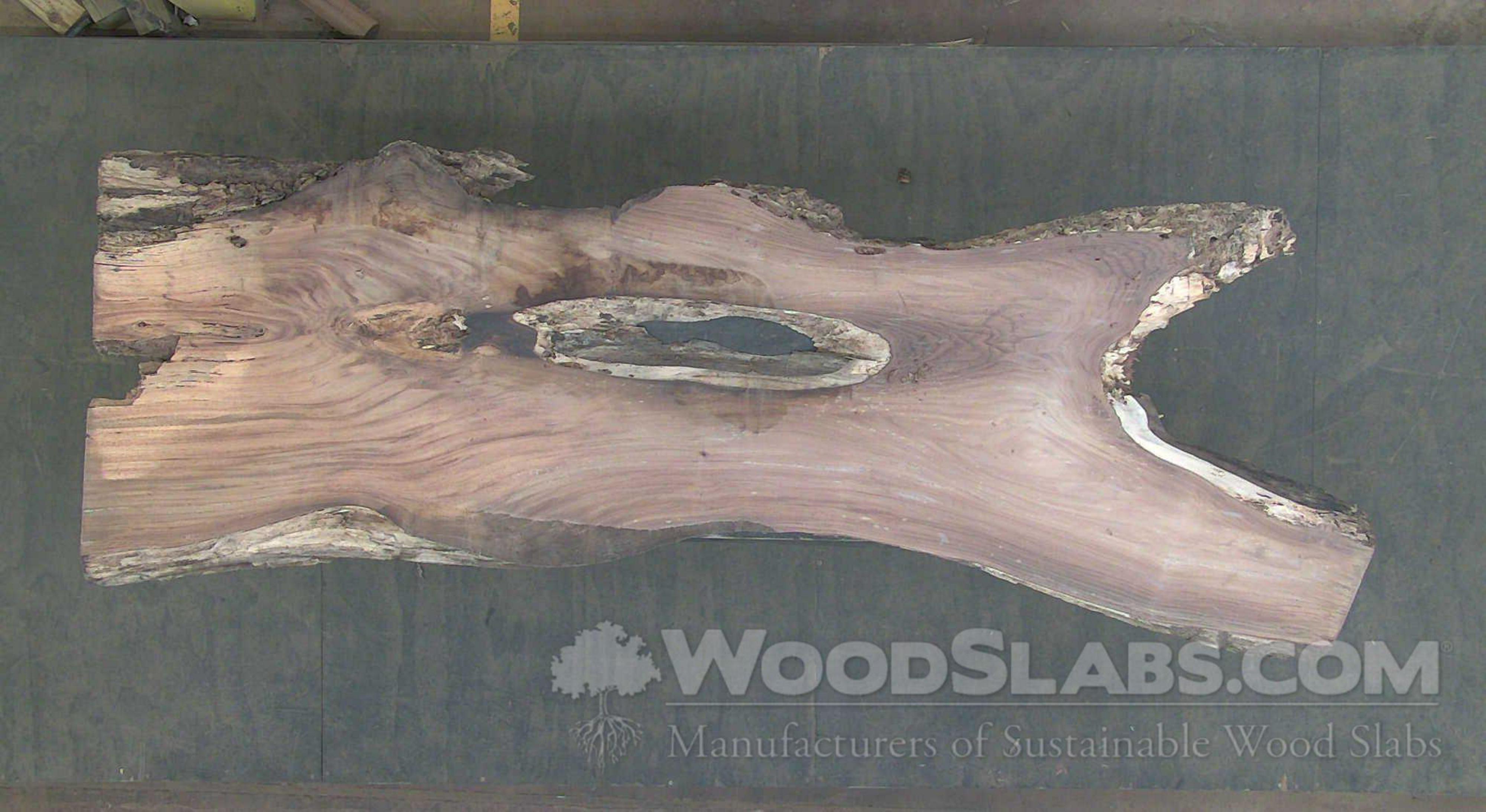 WoodSlabs.com - 97" to 108"