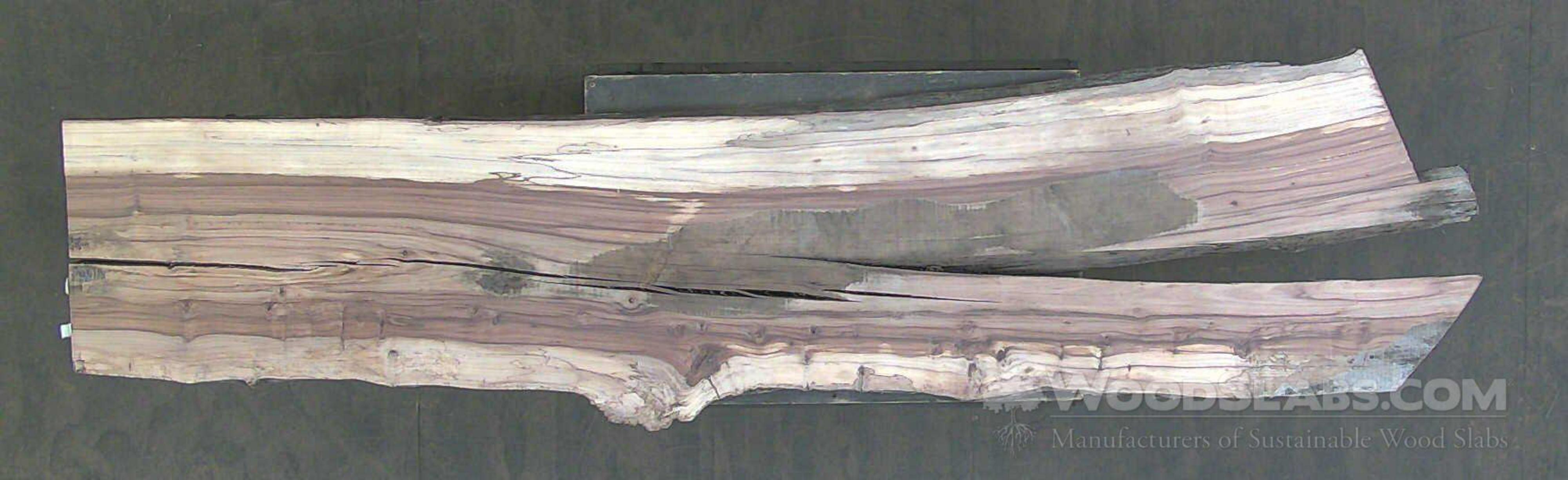 WoodSlabs.com - Australian Beefwood
