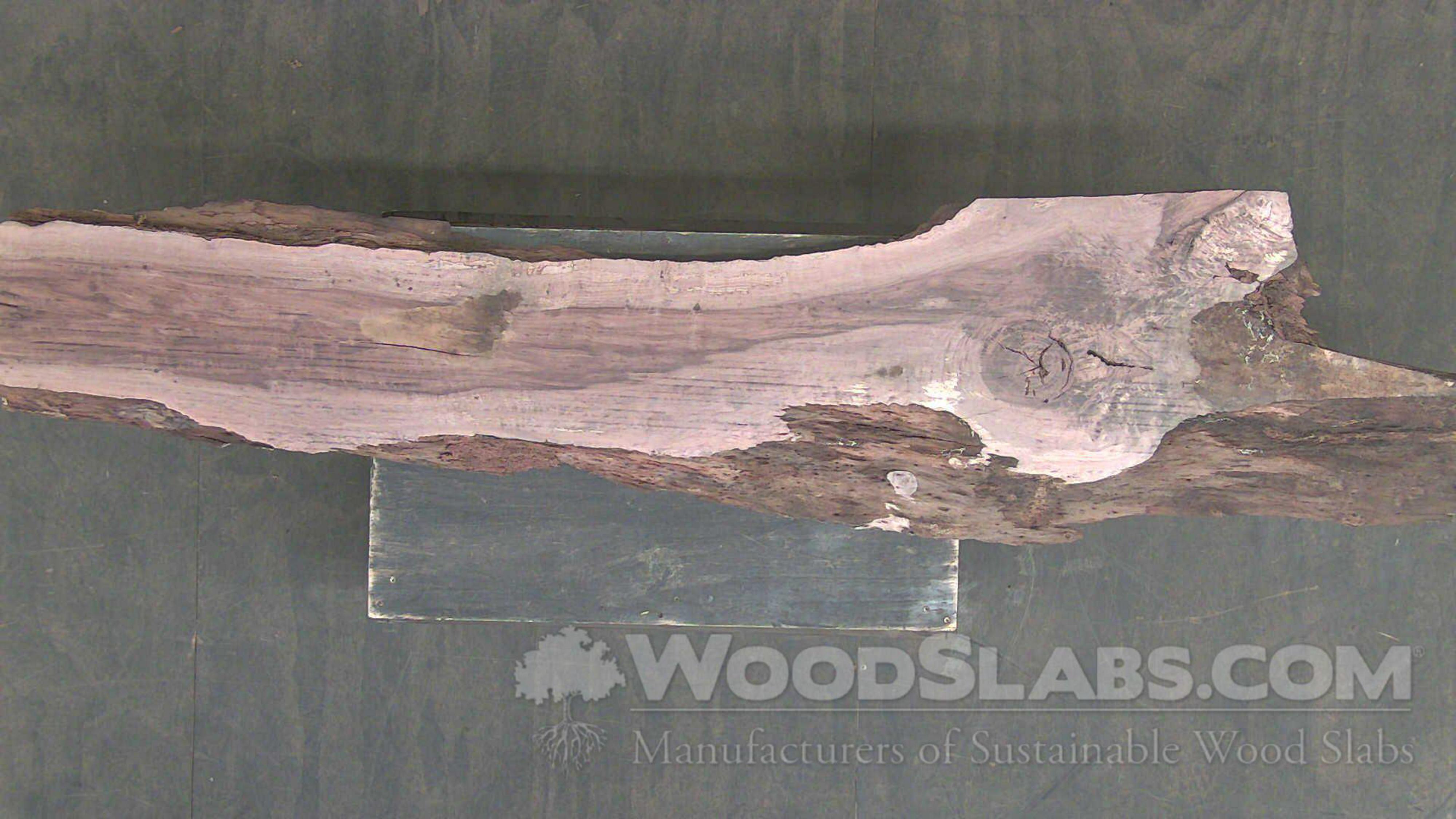 WoodSlabs.com - Australian Beefwood