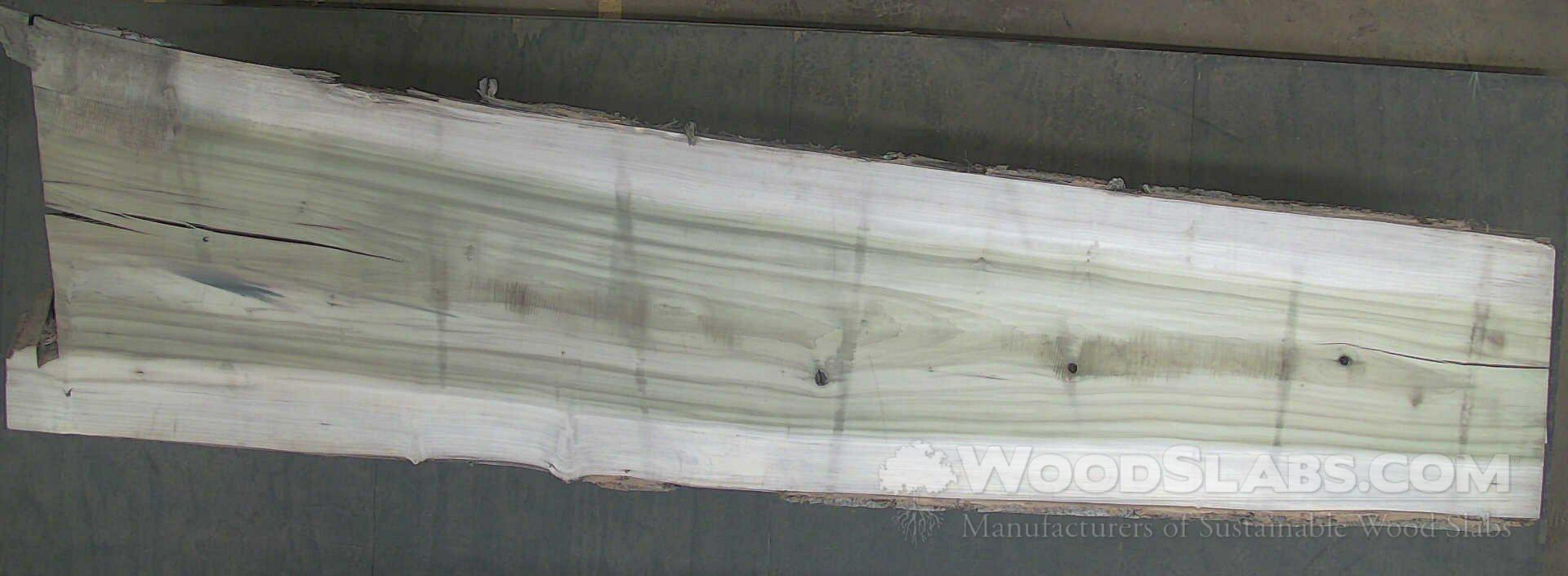 WoodSlabs.com - Rainbow Poplar