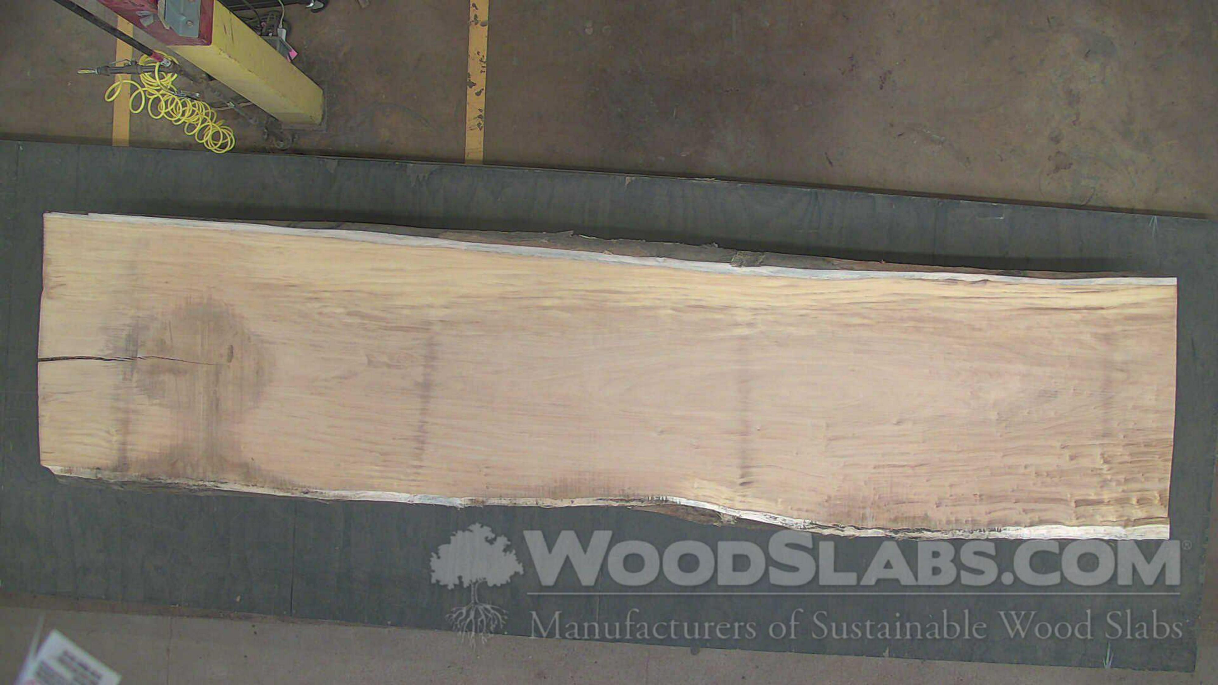 WoodSlabs.com - 31" and Over
