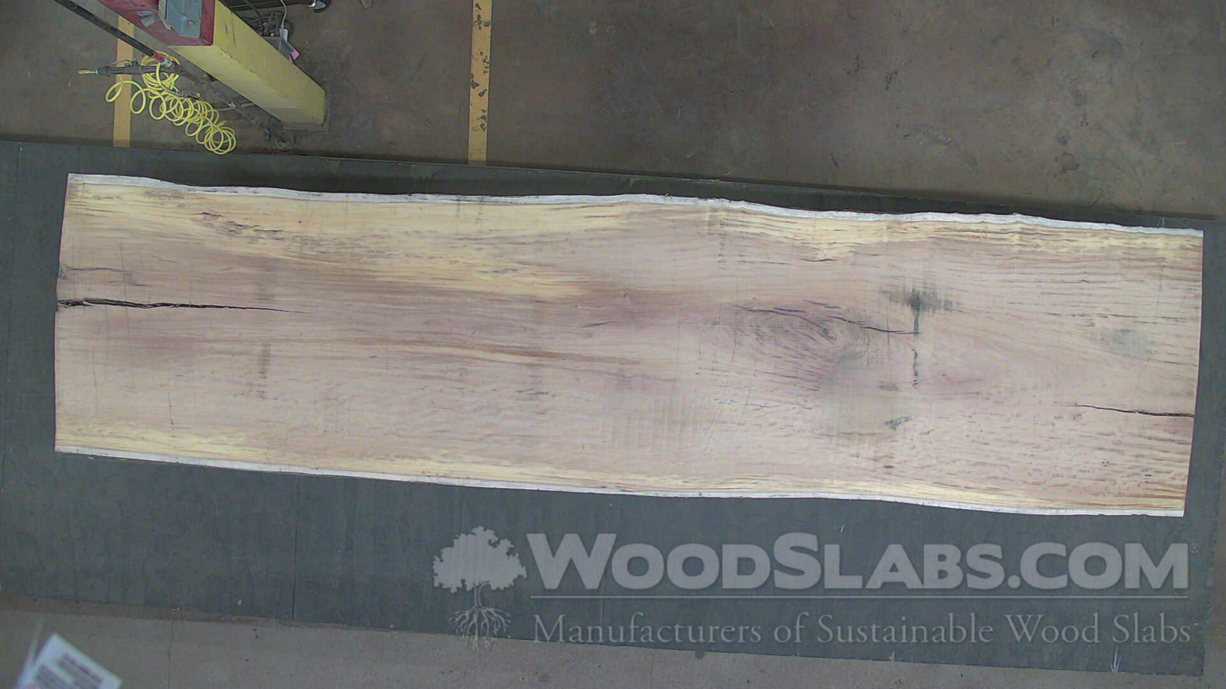 WoodSlabs.com - 31" and Over