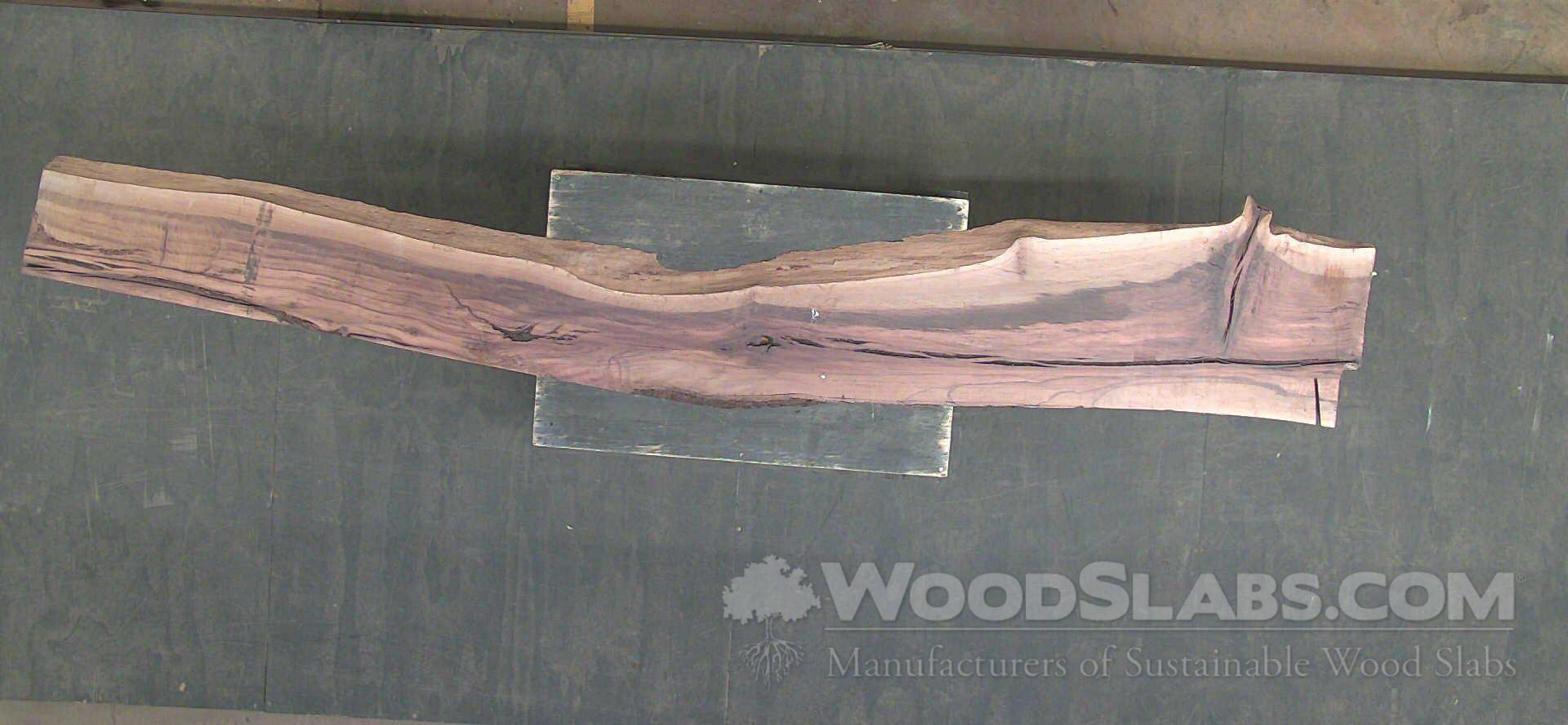 WoodSlabs.com - Australian Beefwood