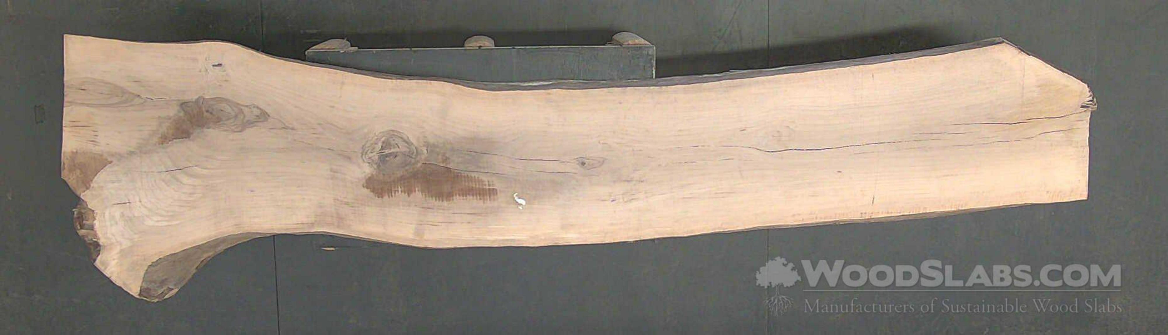 WoodSlabs.com - Maple