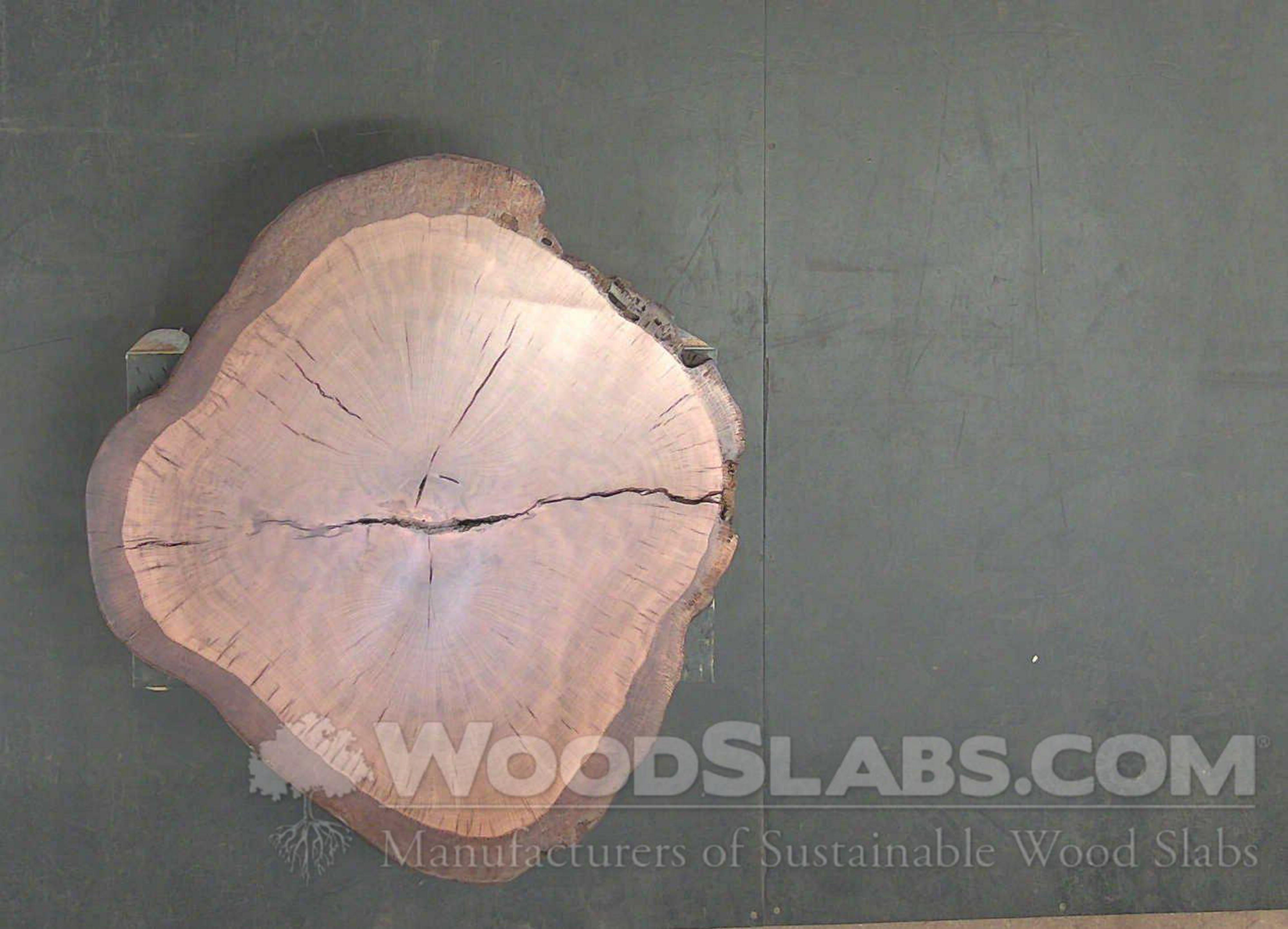 WoodSlabs.com - Oval and Round Slabs