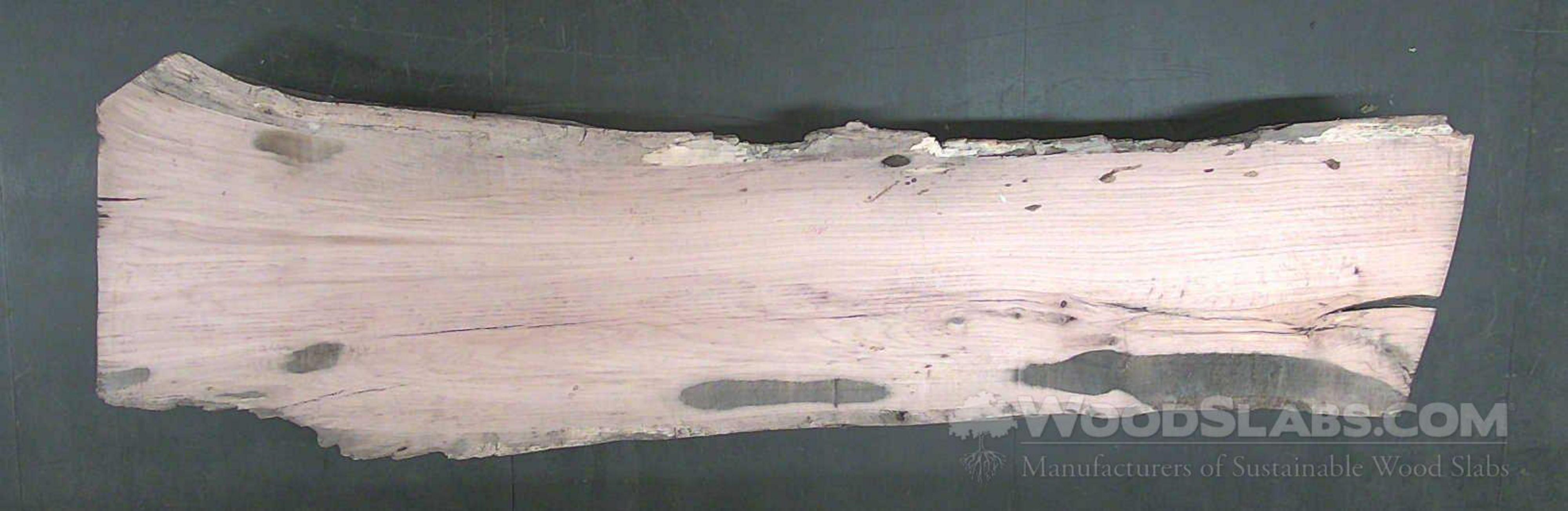 WoodSlabs.com - Laurel Oak