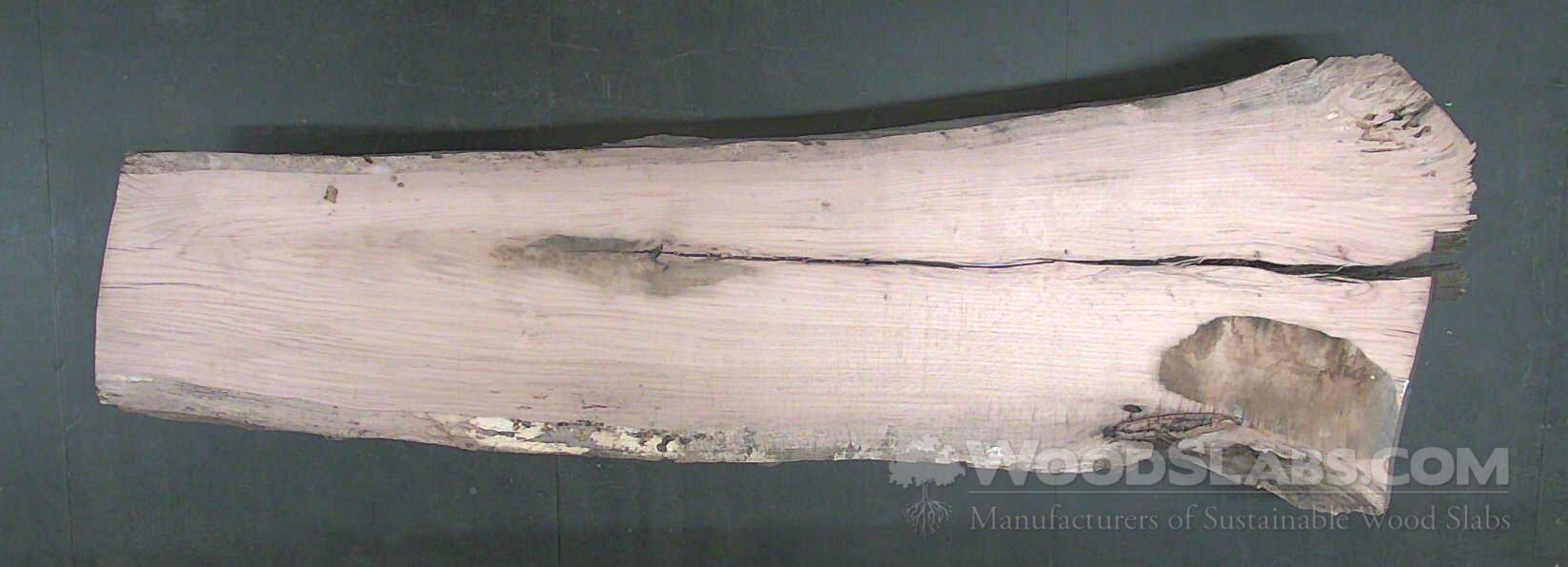 WoodSlabs.com - Laurel Oak