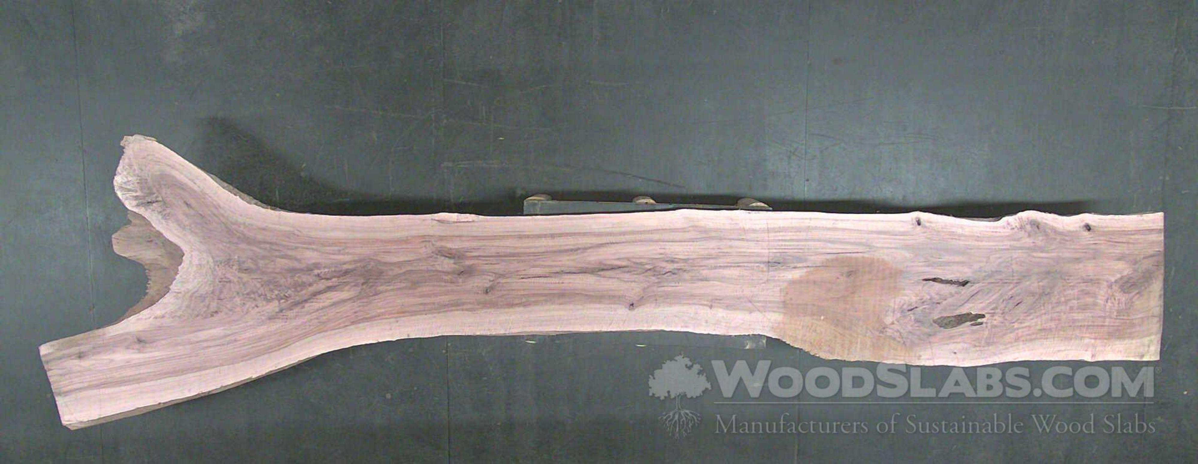 WoodSlabs.com - Australian Beefwood