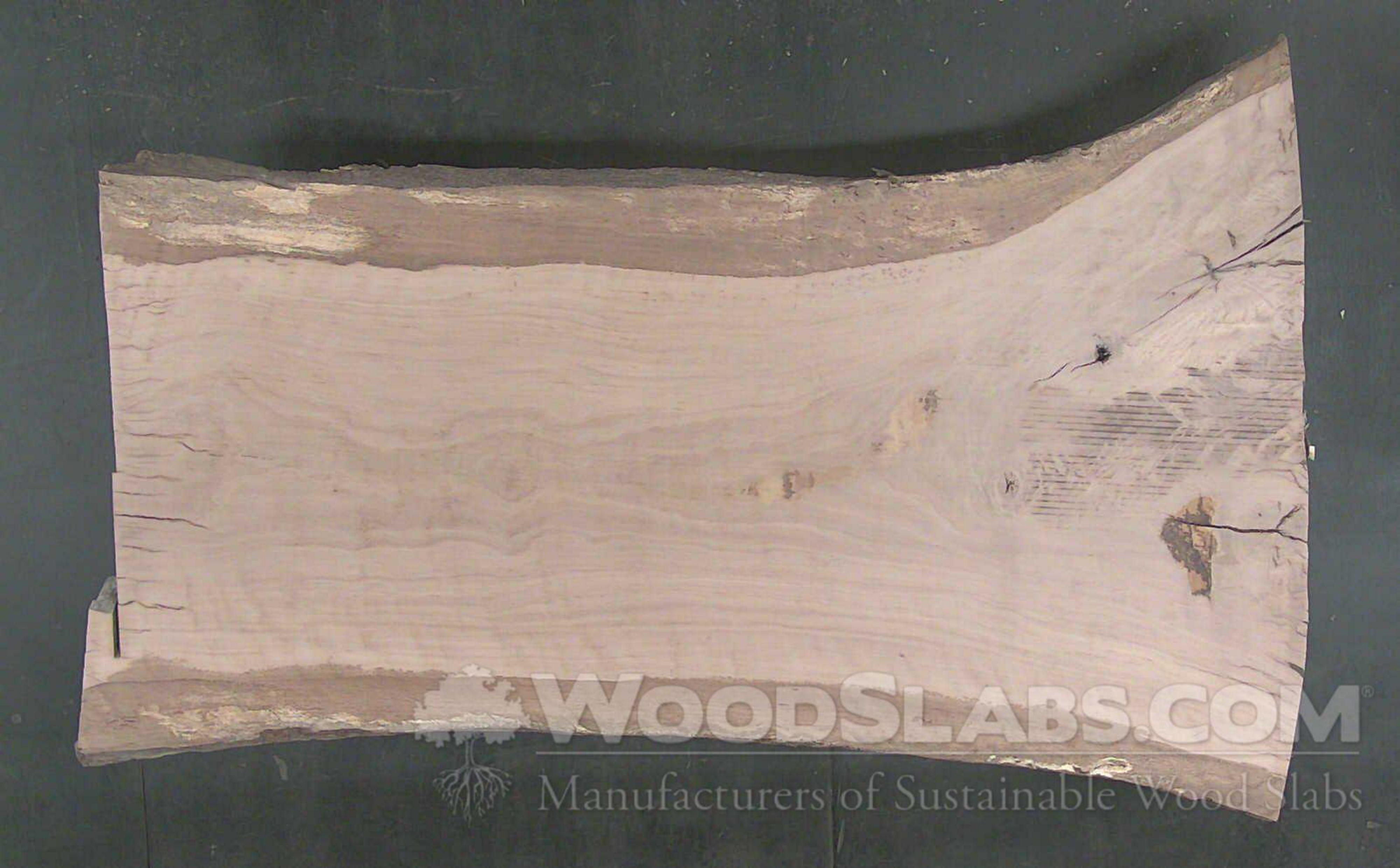 Live Oak Wood Slabs