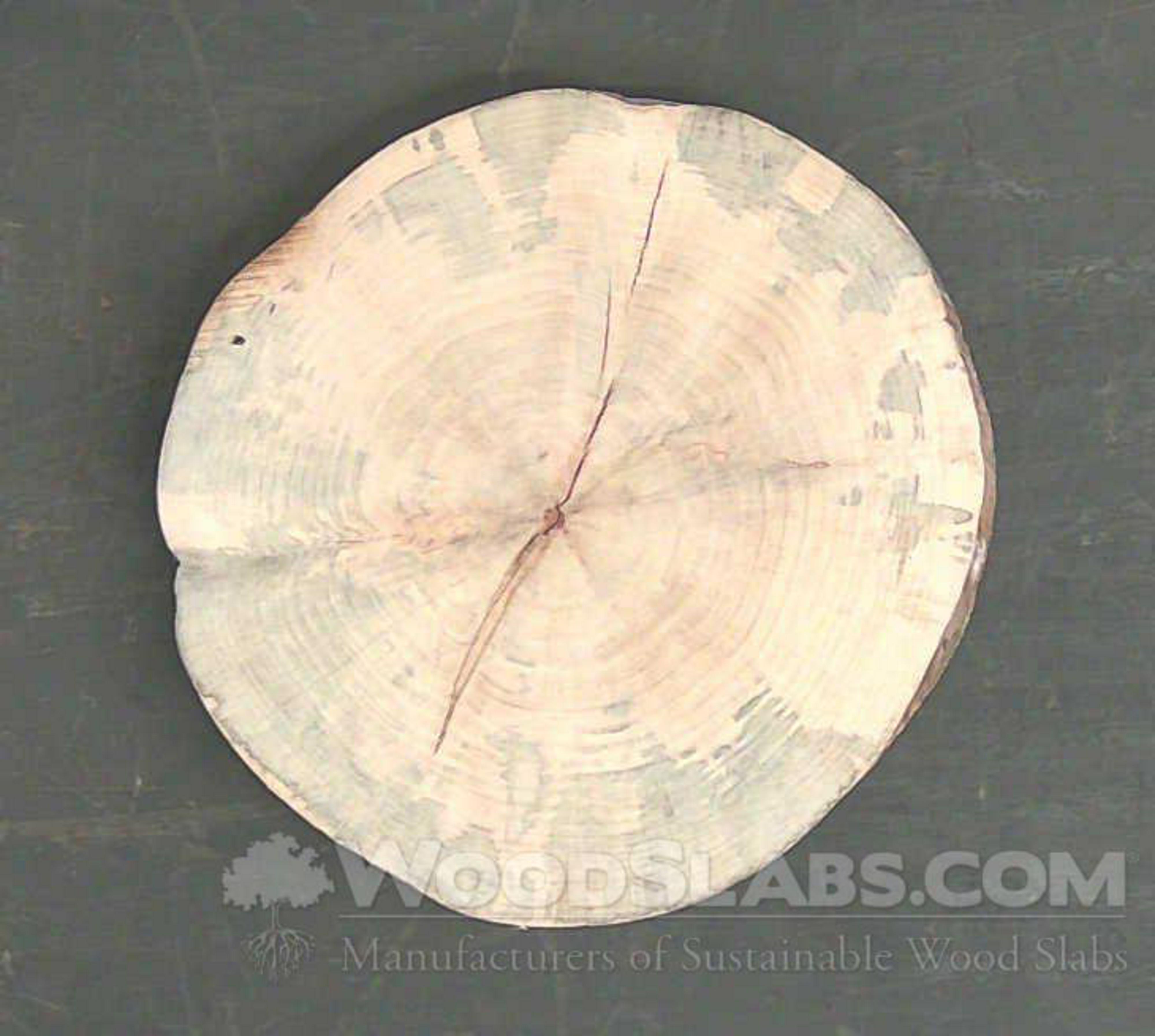 WoodSlabs.com - Oval and Round Slabs