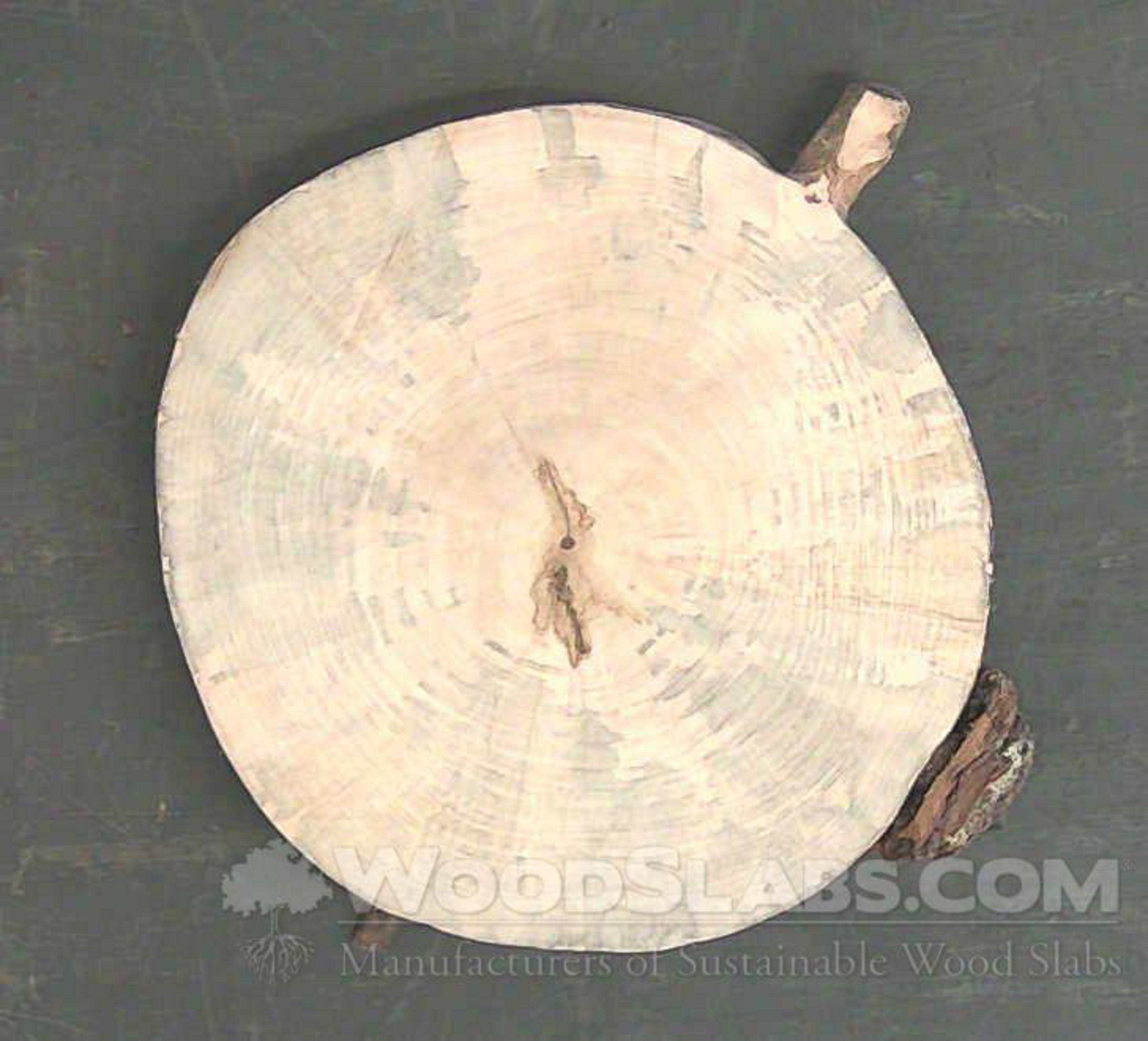 WoodSlabs.com - Oval and Round Slabs