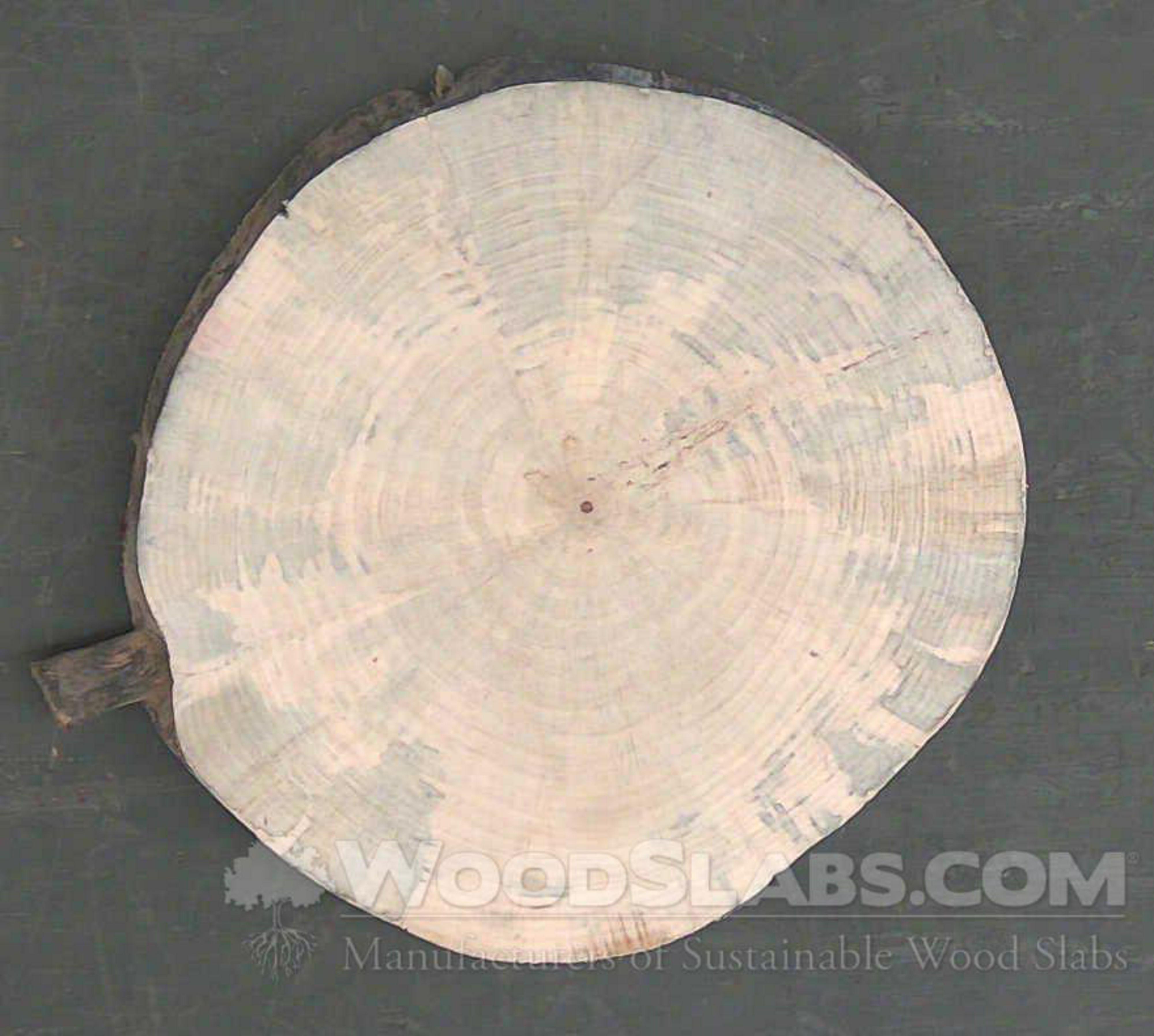 WoodSlabs.com - Oval and Round Slabs