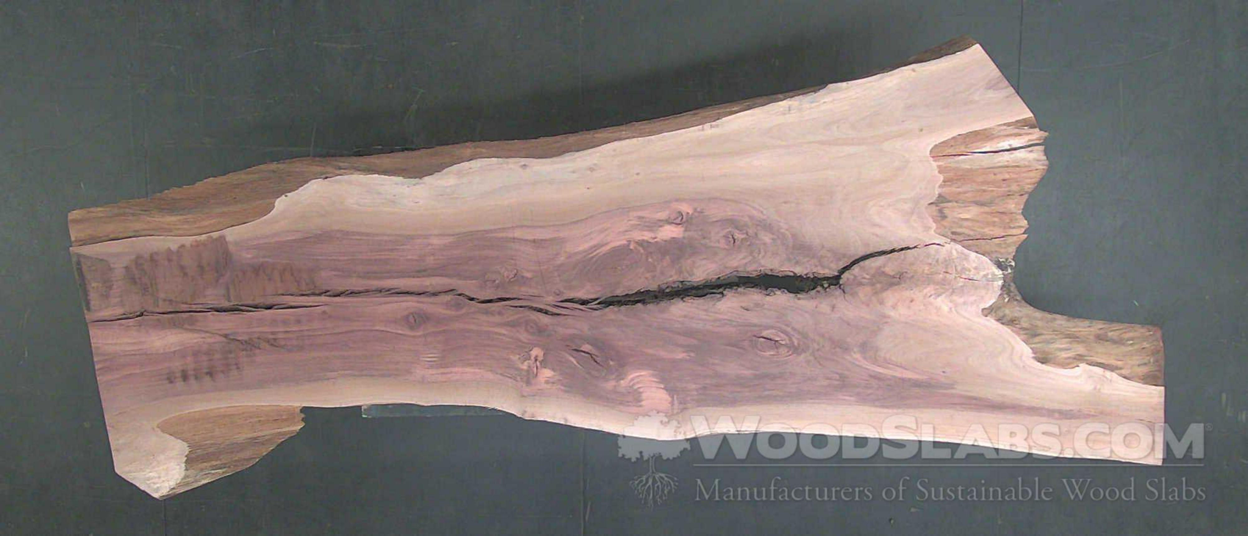 WoodSlabs.com - Australian Beefwood