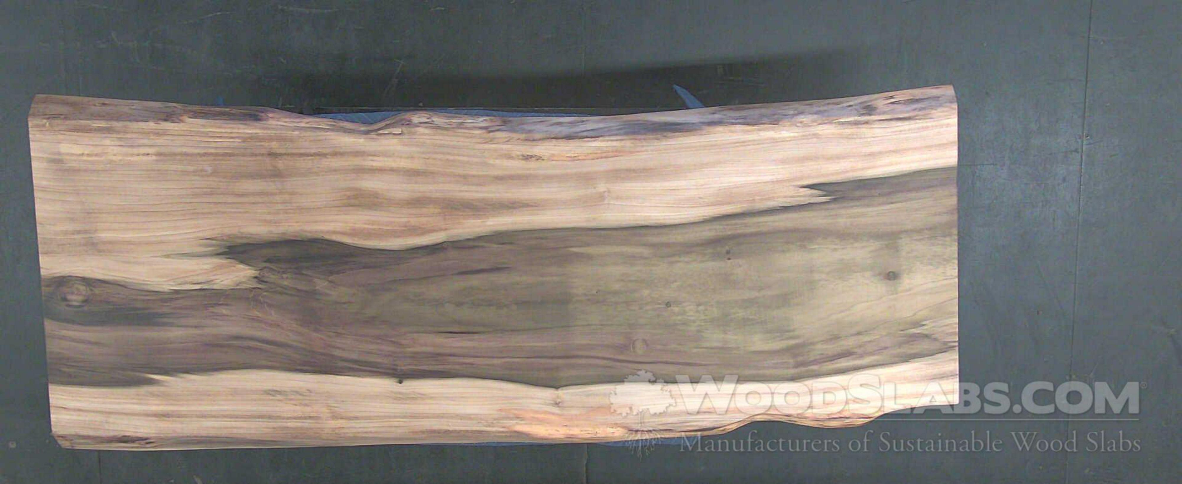 WoodSlabs.com - Rainbow Poplar