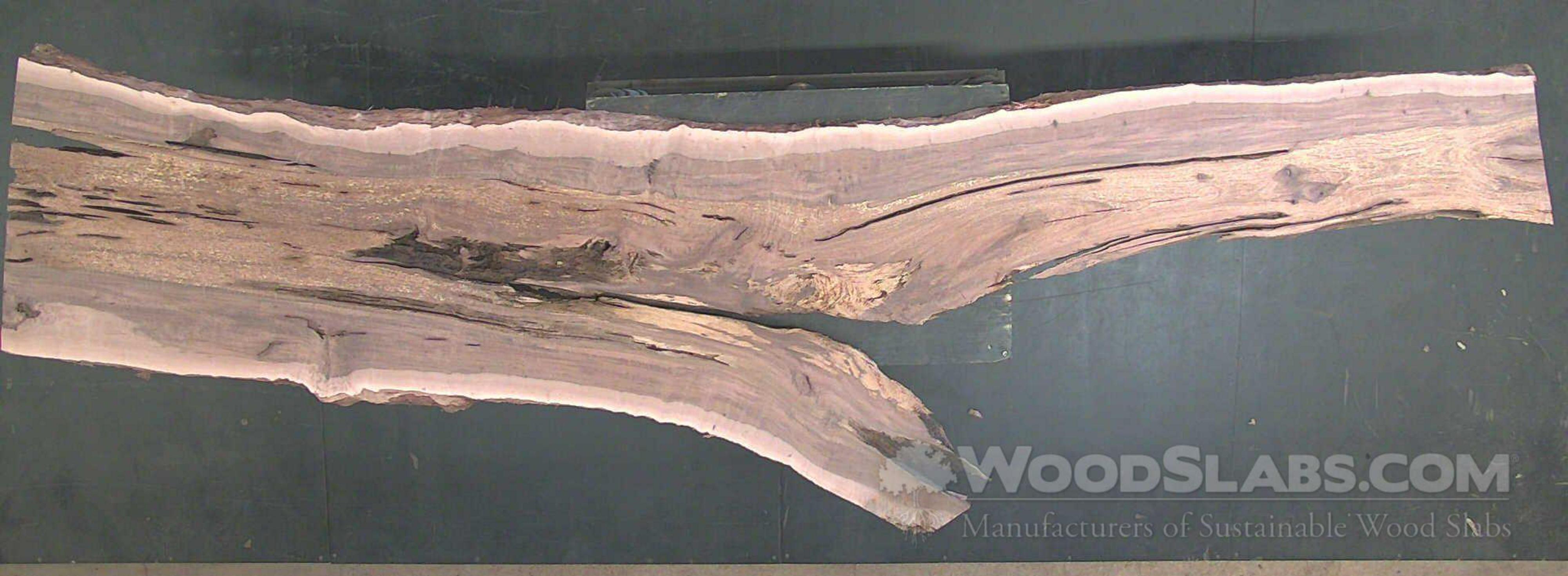 WoodSlabs.com - Australian Beefwood
