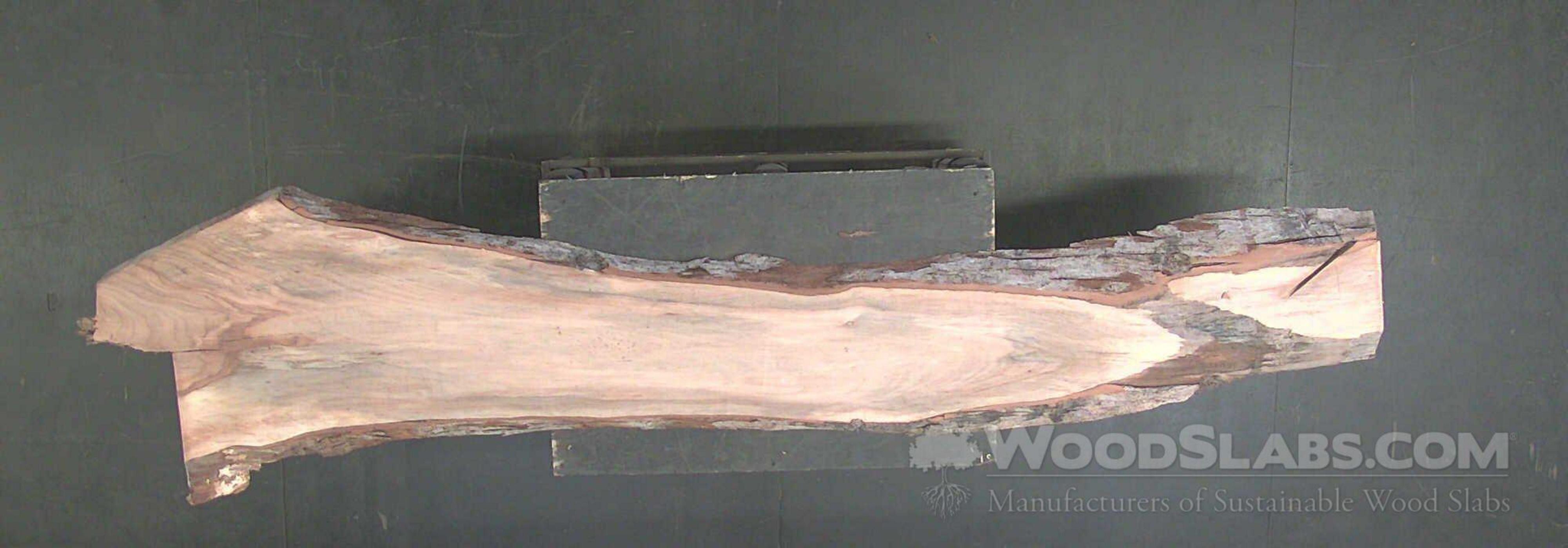 WoodSlabs.com - Hickory