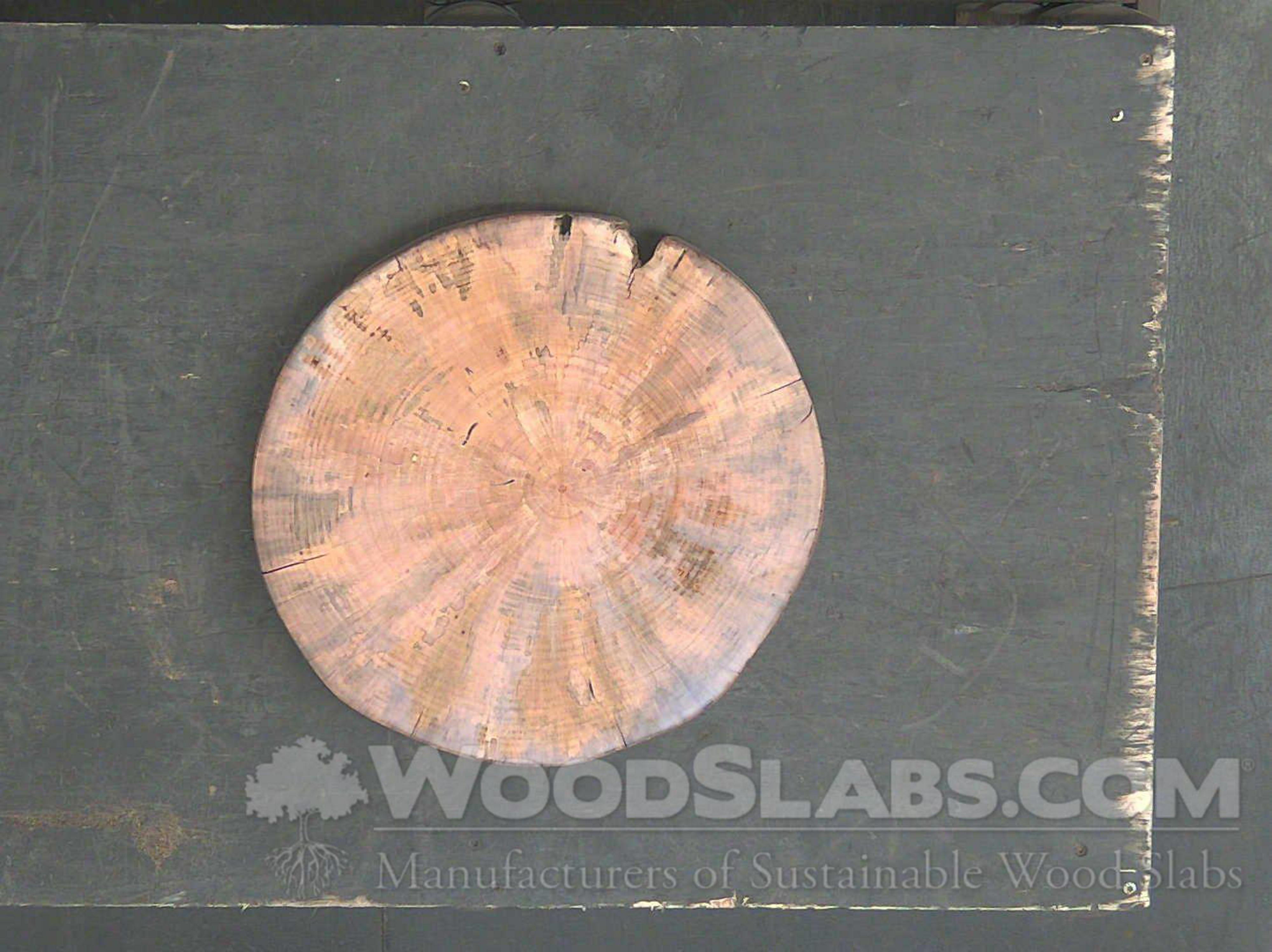WoodSlabs.com - Oval and Round Slabs