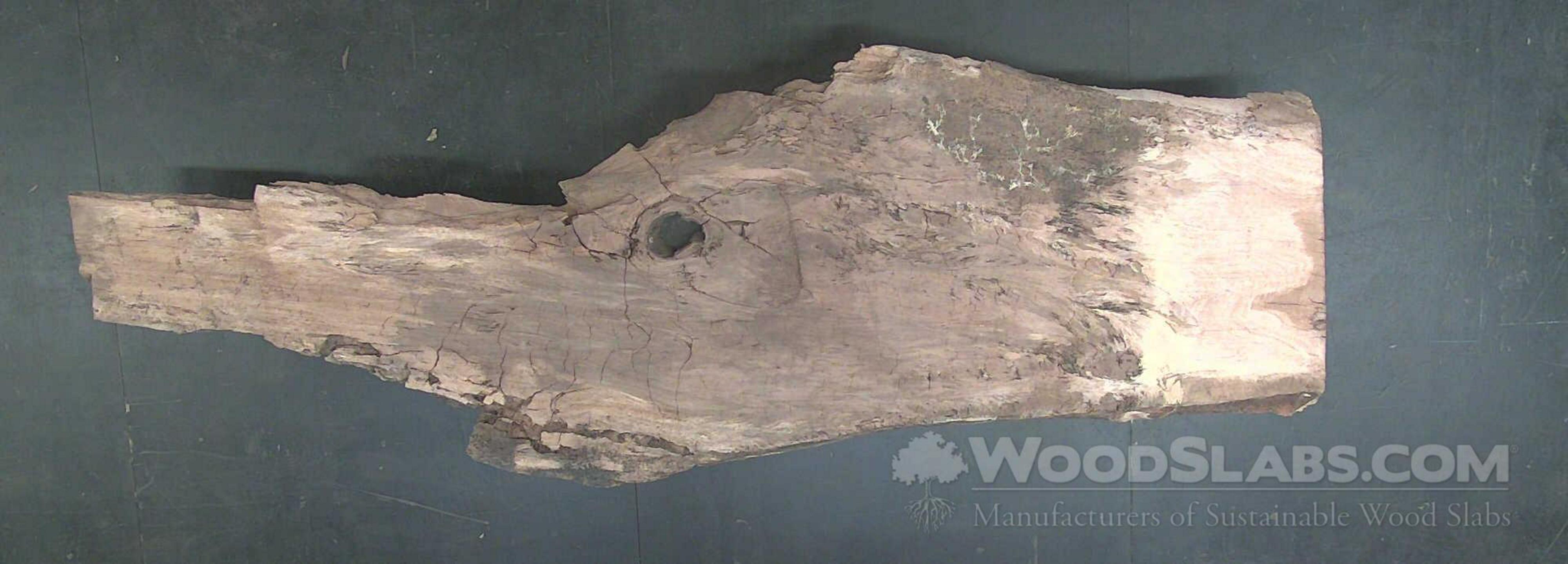 WoodSlabs.com - Hickory