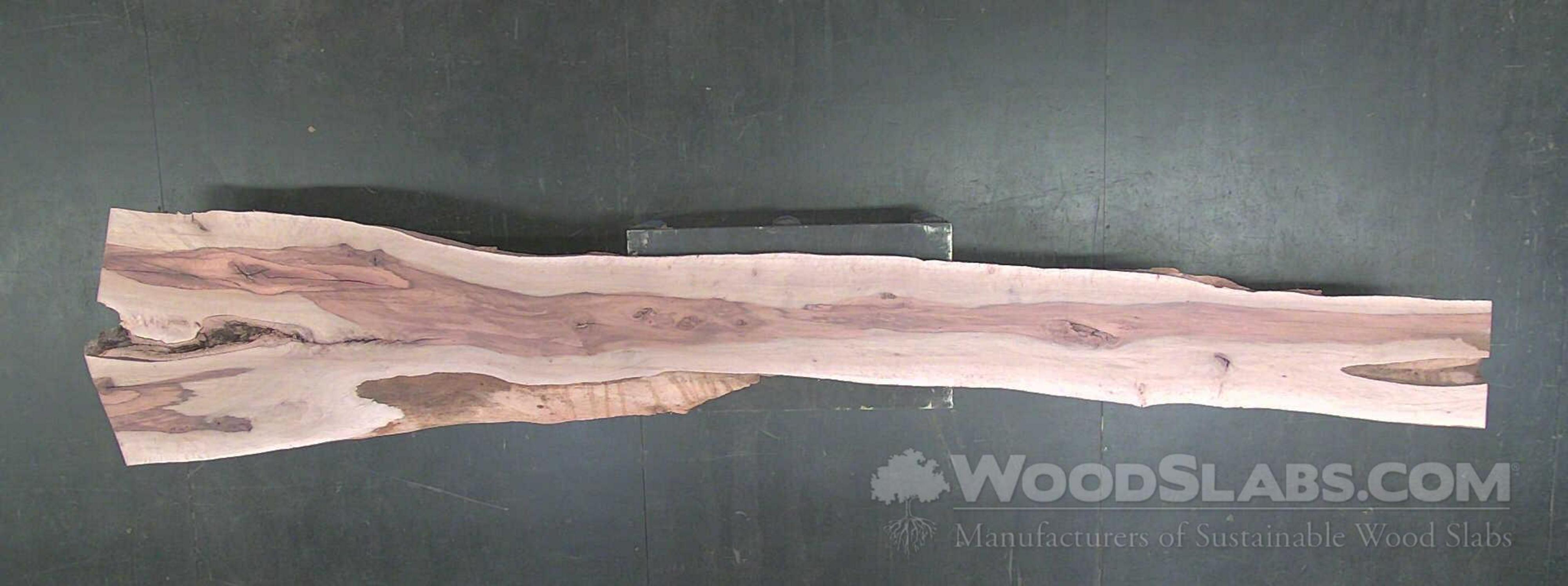 WoodSlabs.com - Australian Beefwood