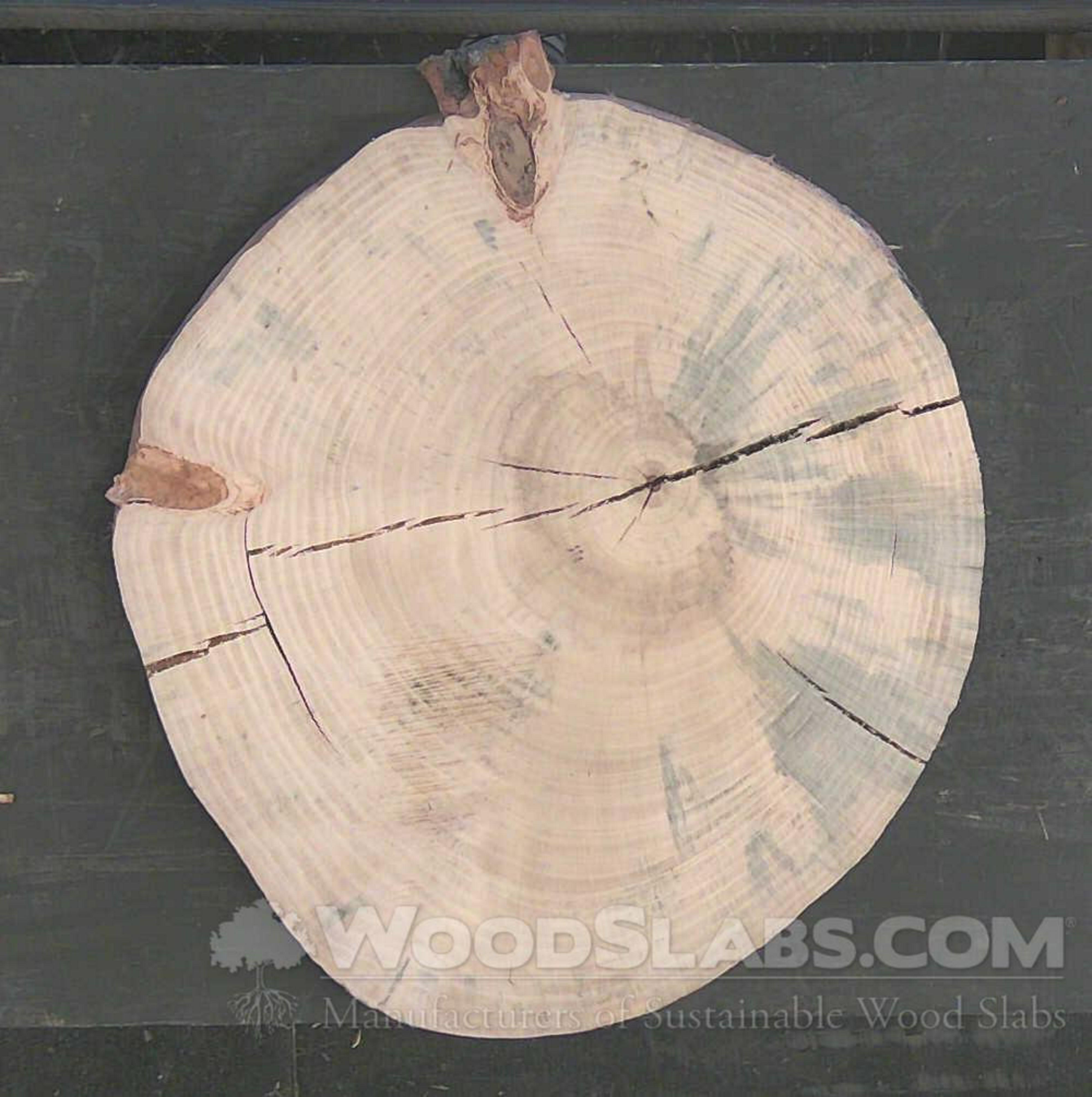WoodSlabs.com - Oval and Round Slabs