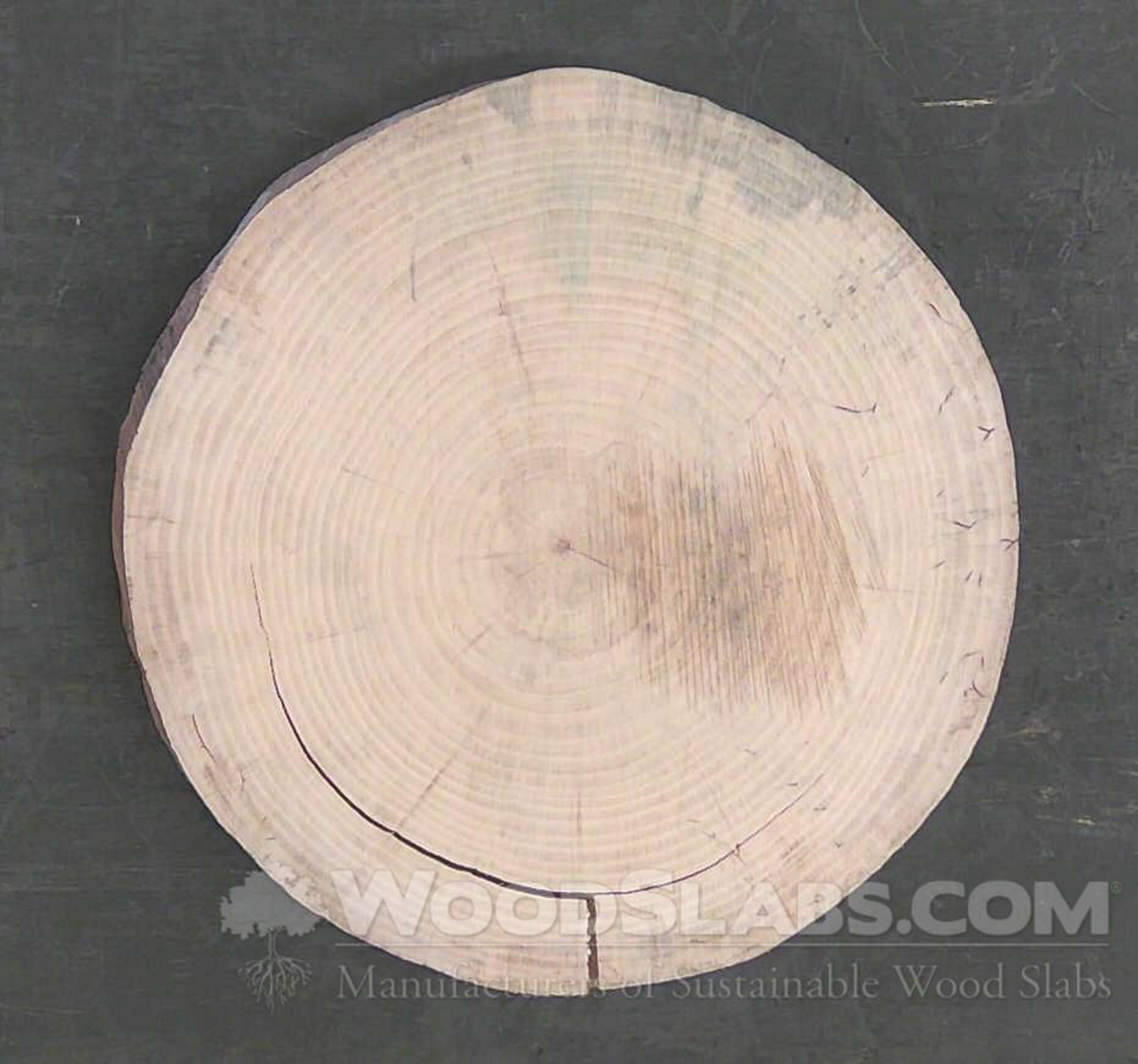 WoodSlabs.com - Oval and Round Slabs