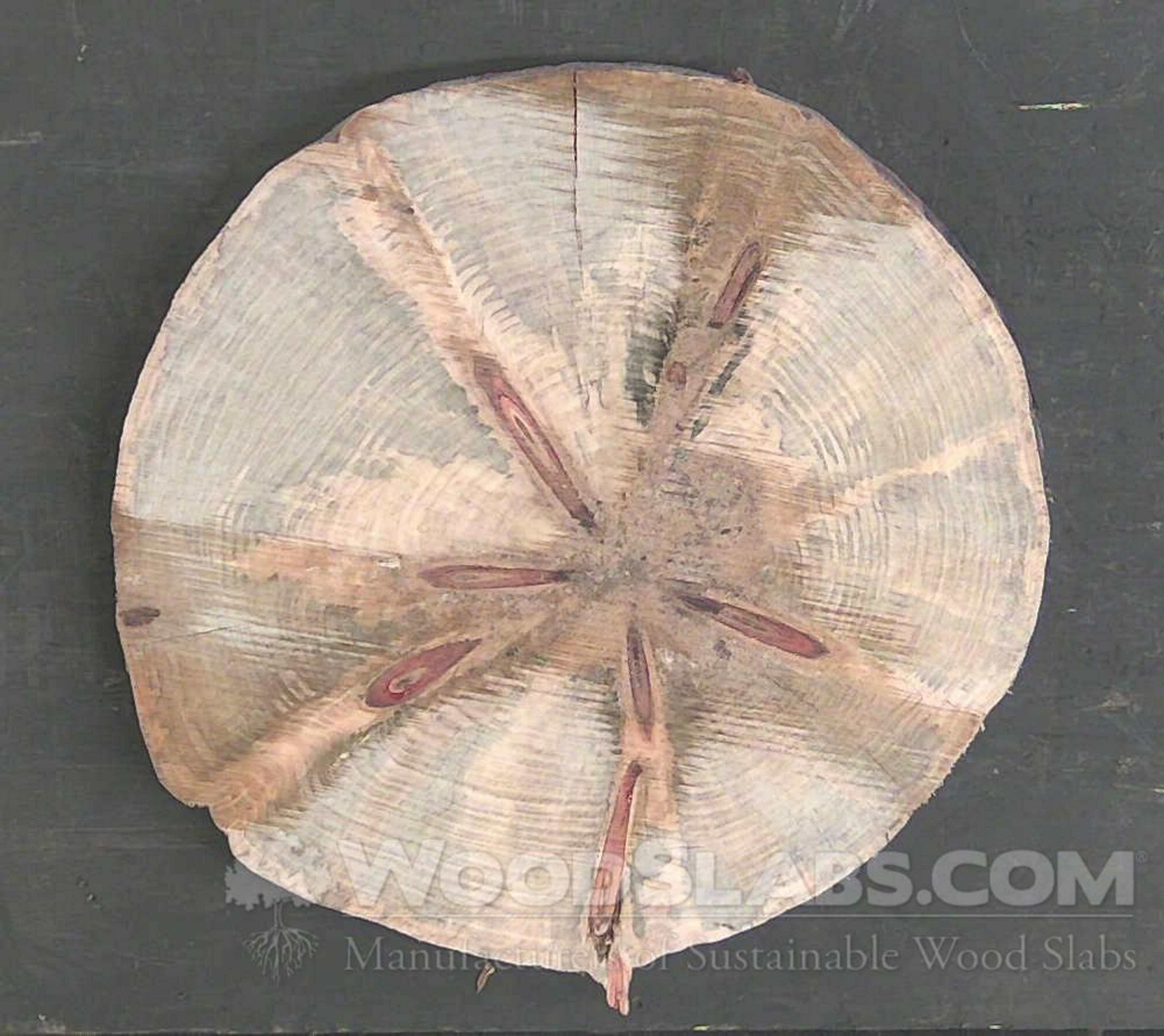 WoodSlabs.com - Oval and Round Slabs