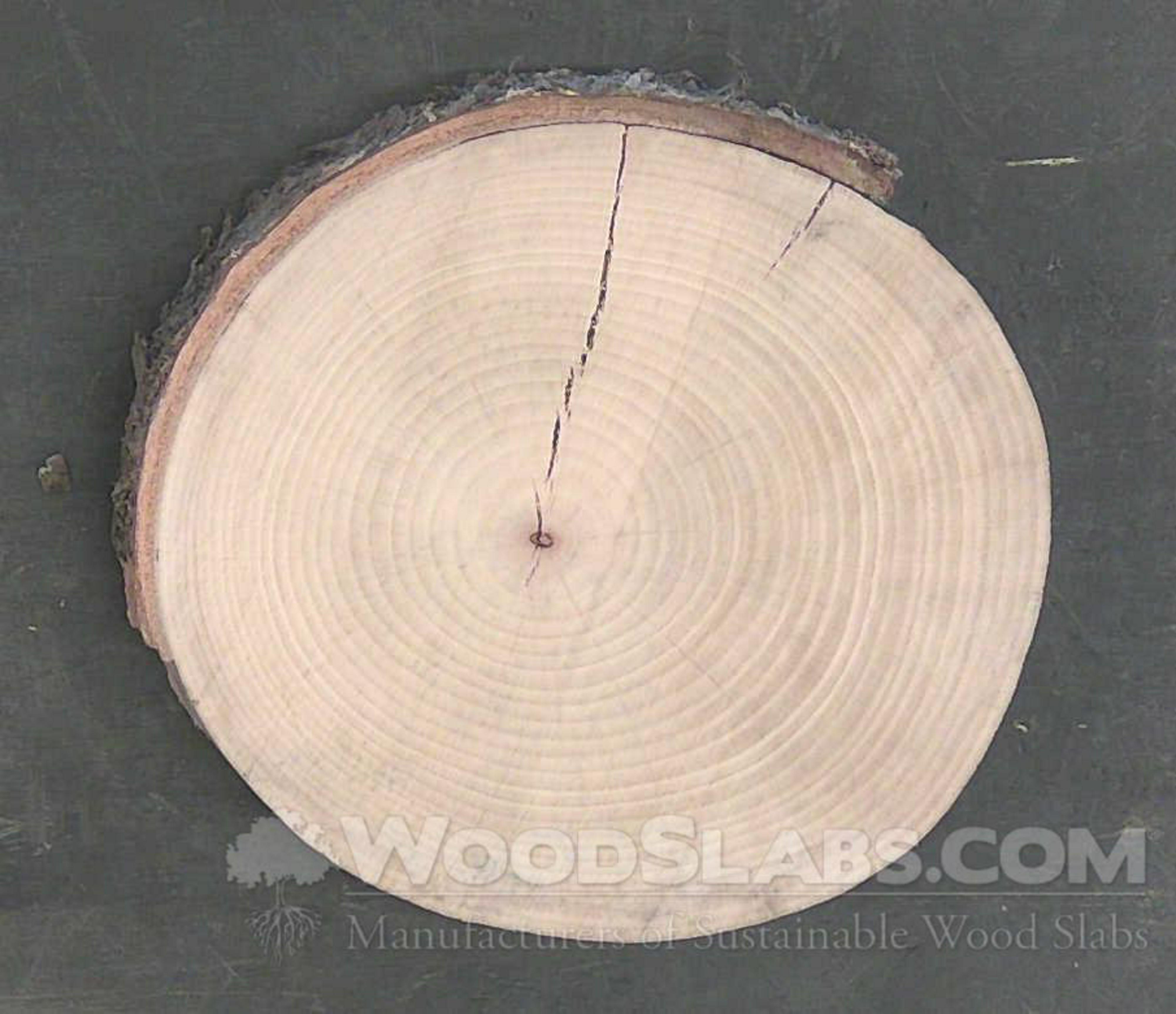 WoodSlabs.com - Oval and Round Slabs