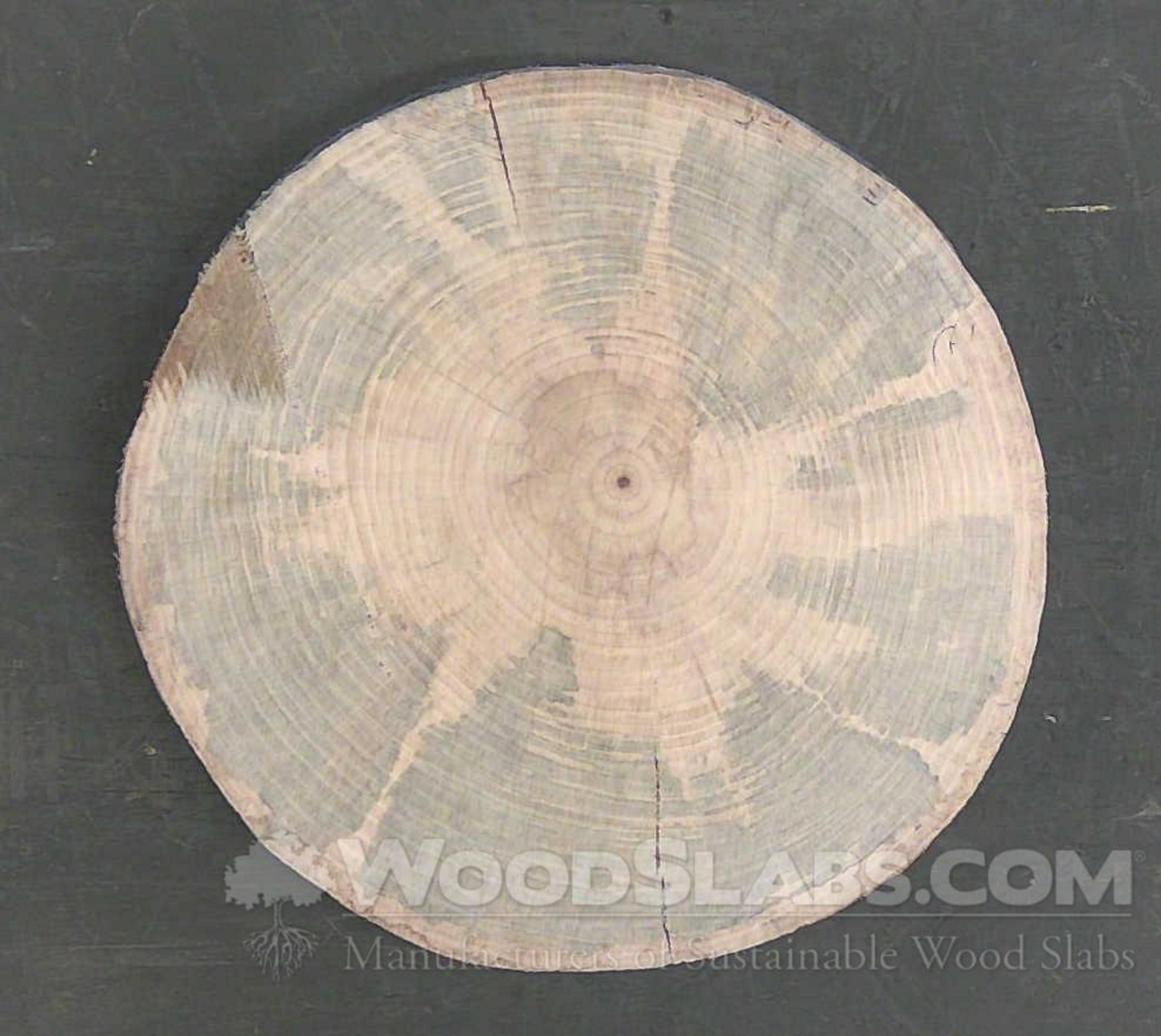 WoodSlabs.com - Oval and Round Slabs