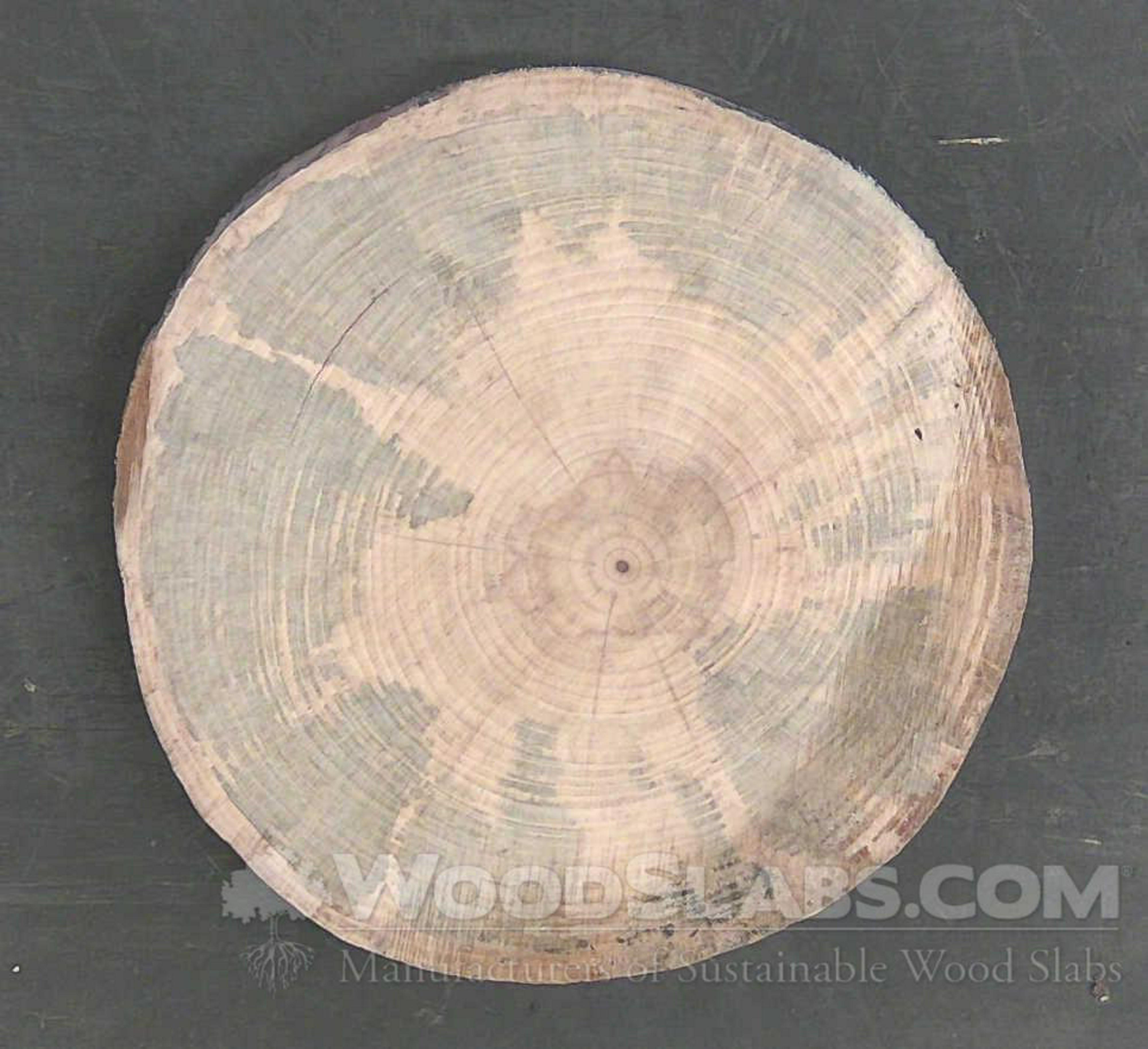 WoodSlabs.com - Oval and Round Slabs