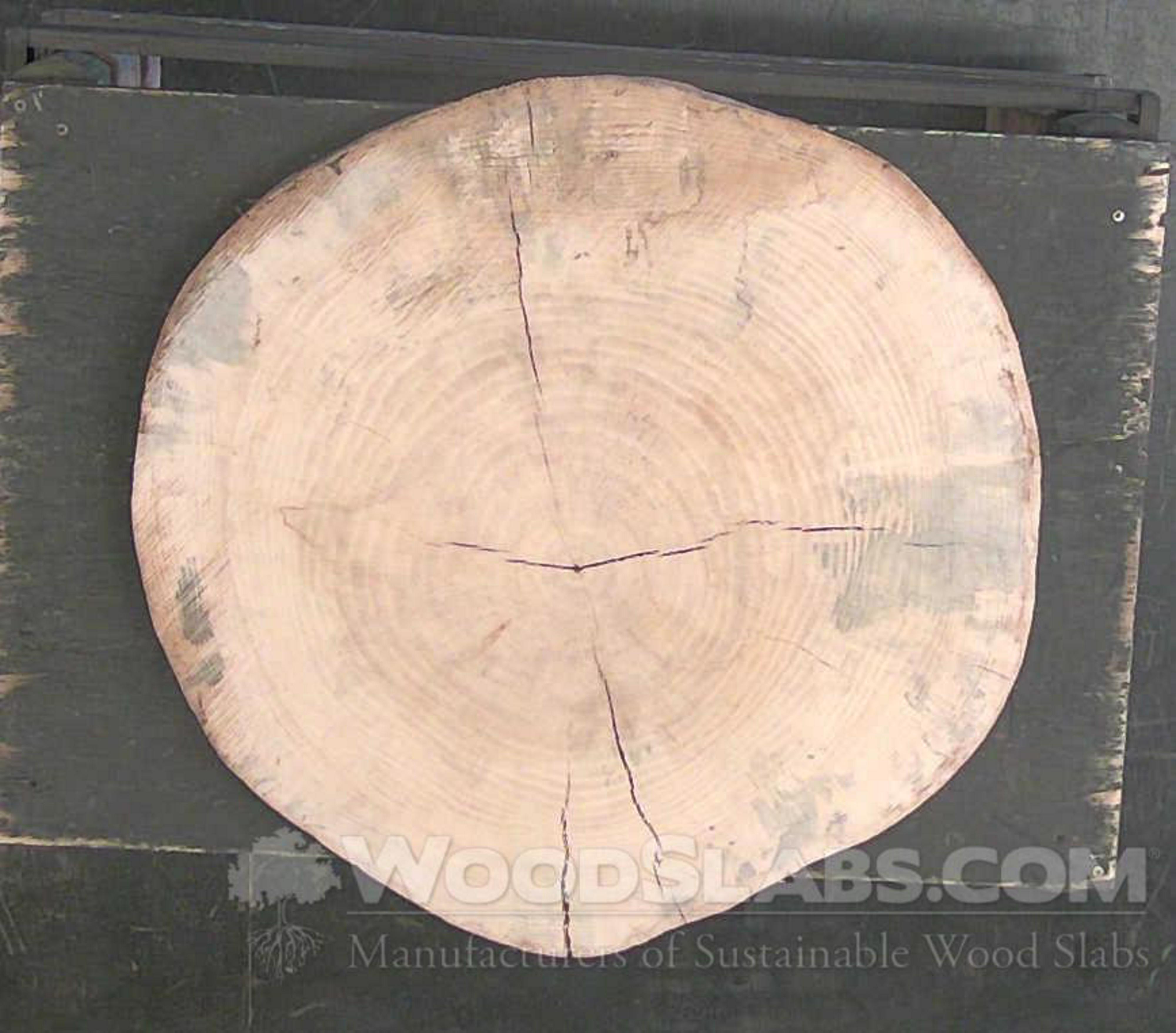 WoodSlabs.com - 25" to 36"