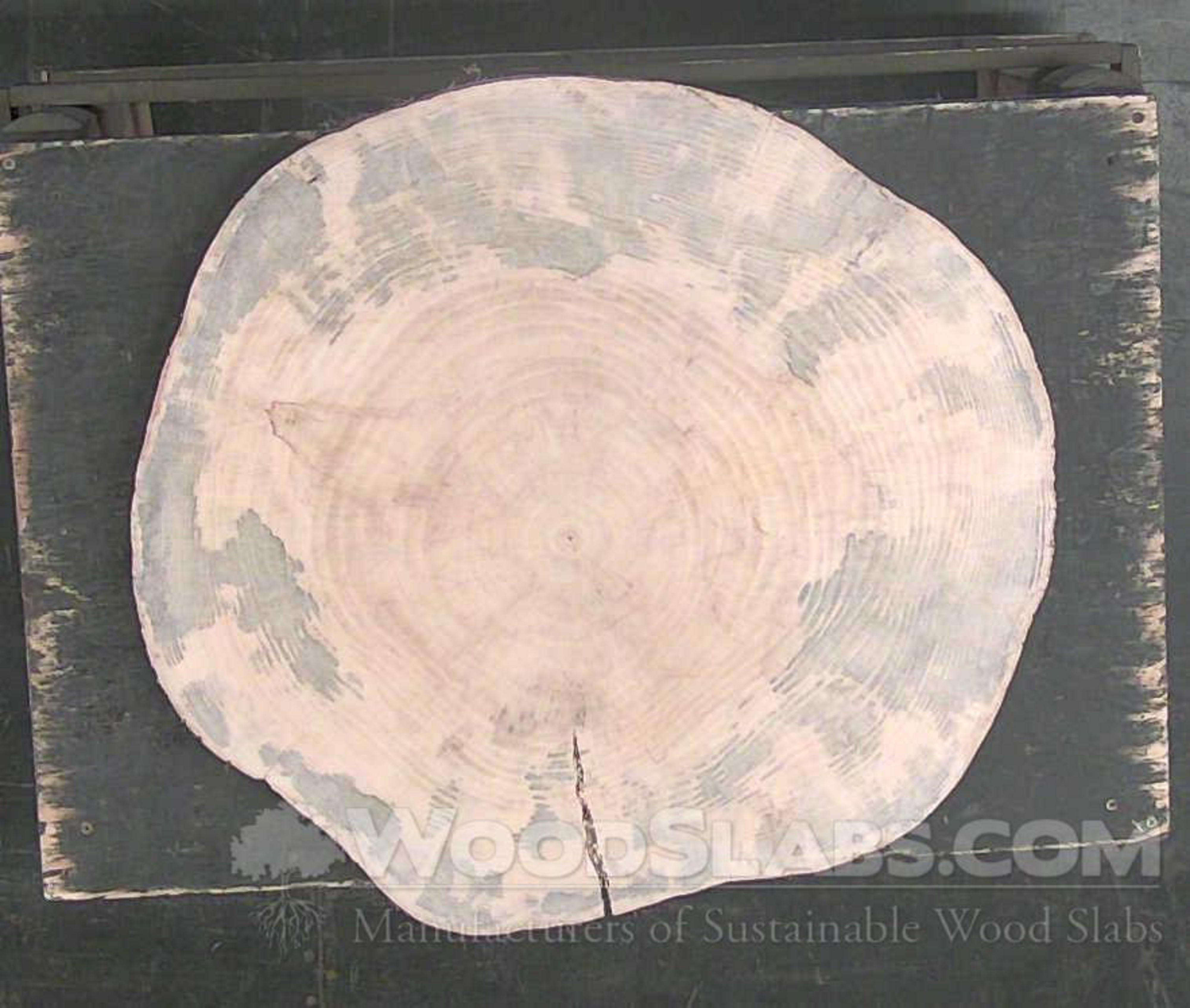 WoodSlabs.com - Oval and Round Slabs