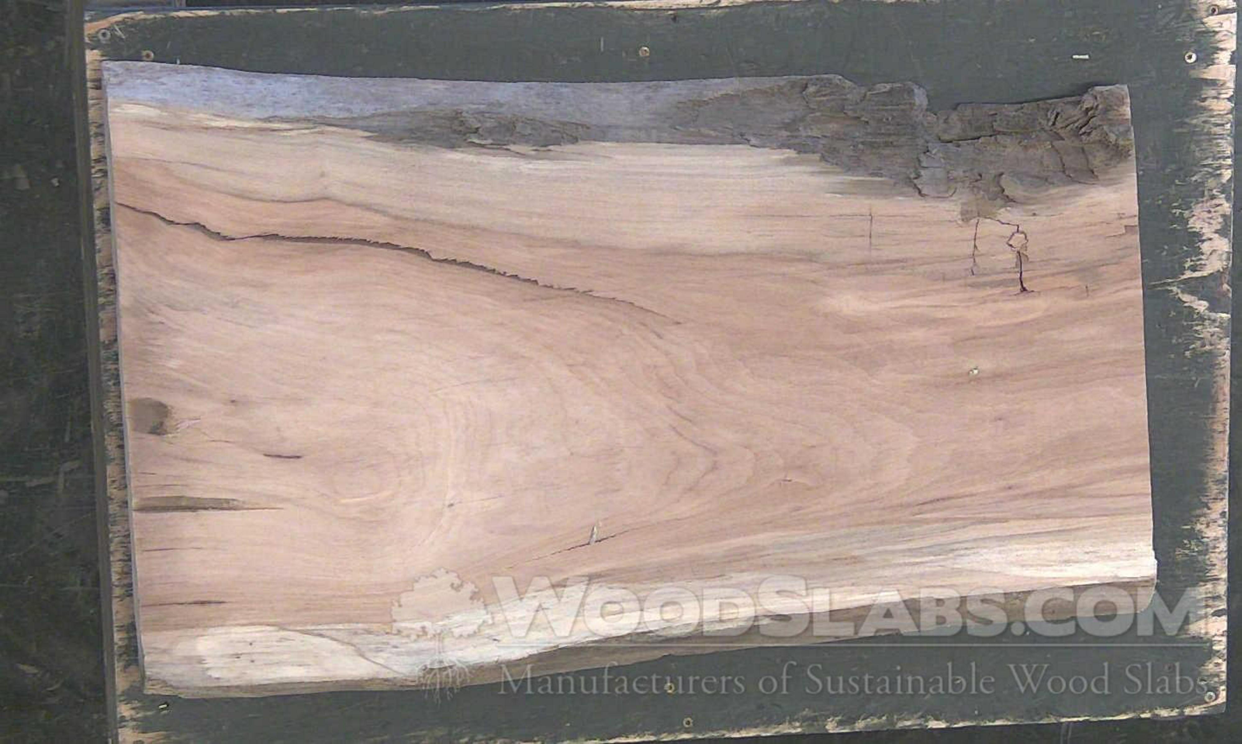 WoodSlabs.com - 25" to 36"