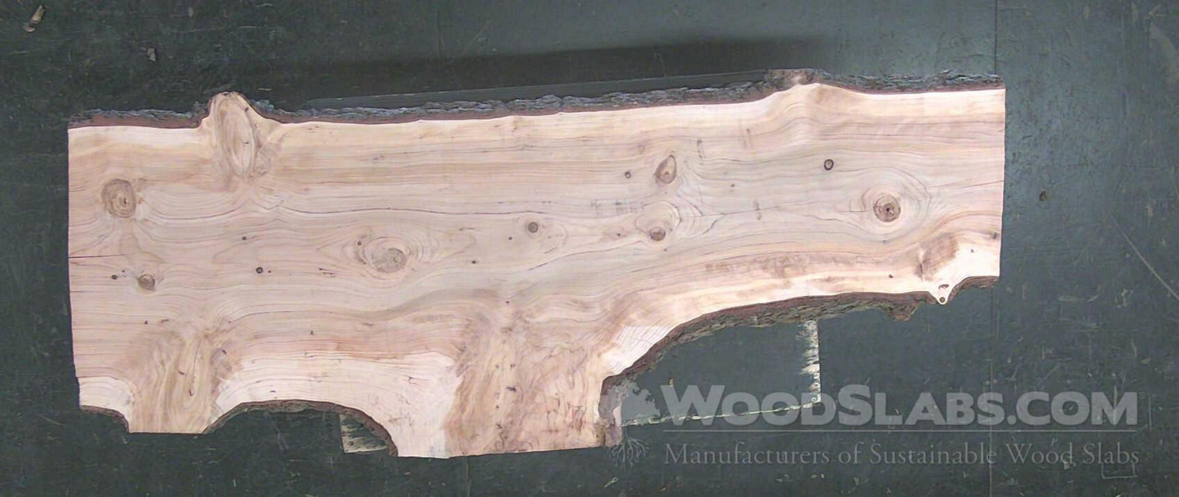 Lebanese Cedar Wood