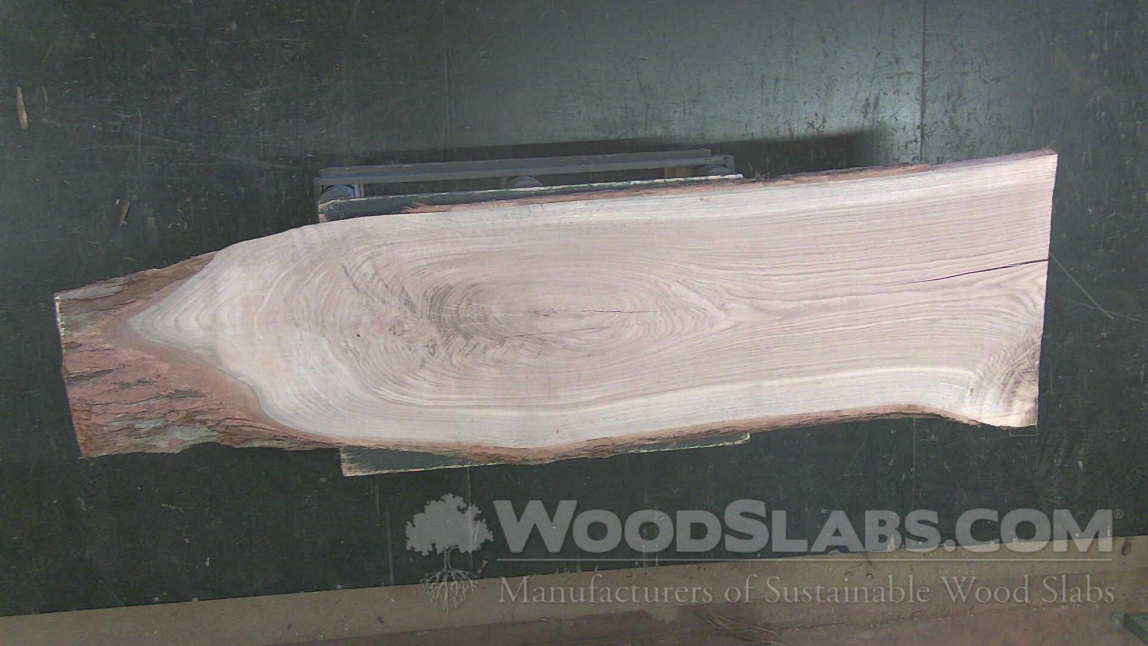 WoodSlabs.com - White Oak