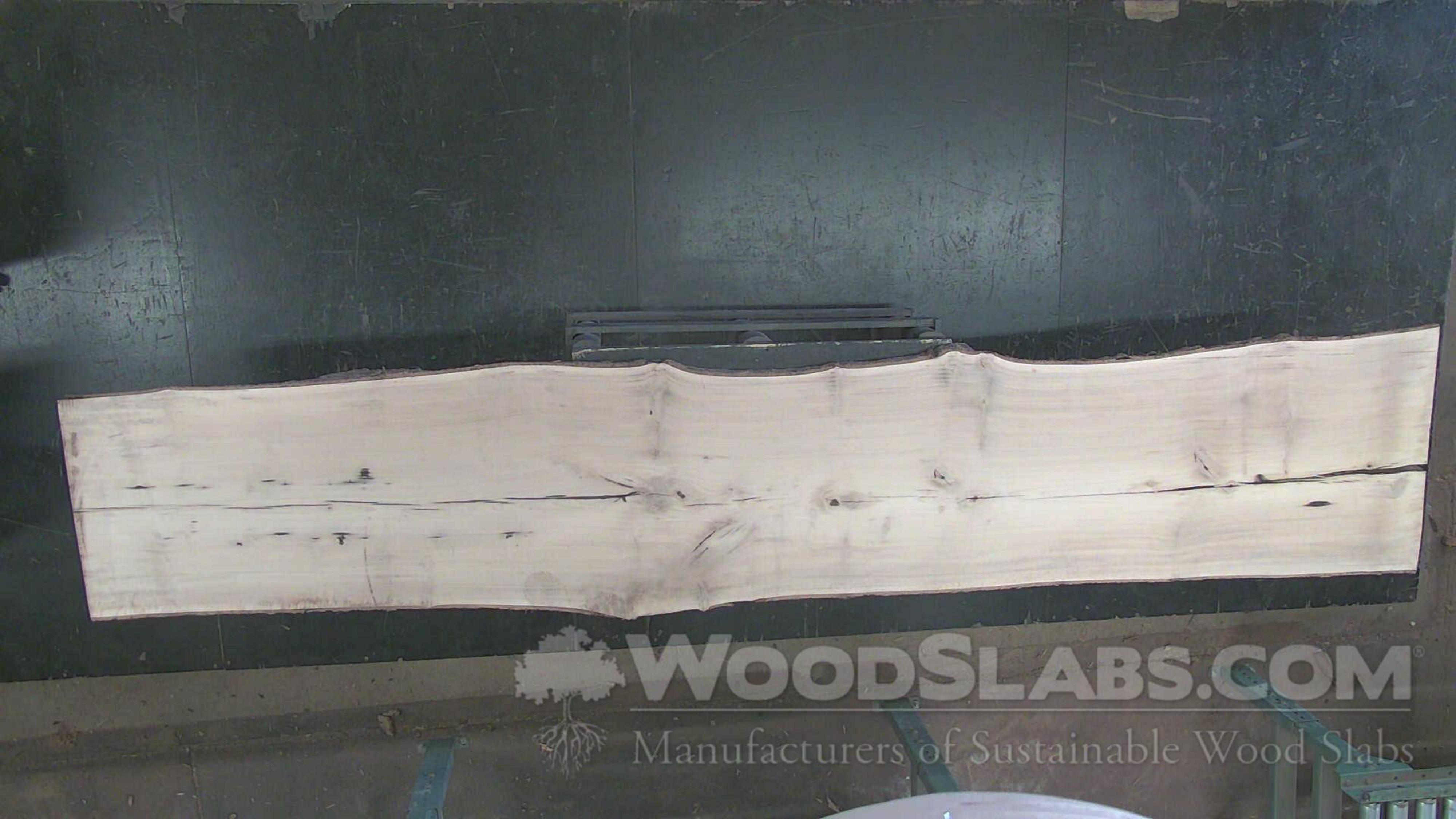 WoodSlabs.com - Maple